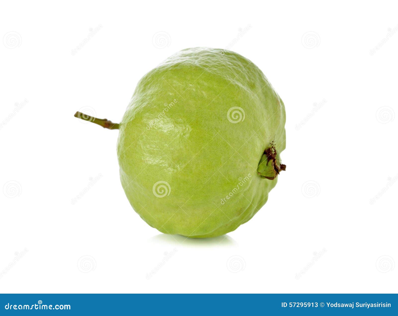 Whole Guava with Stem on White Stock Image - Image of edible, guava ...