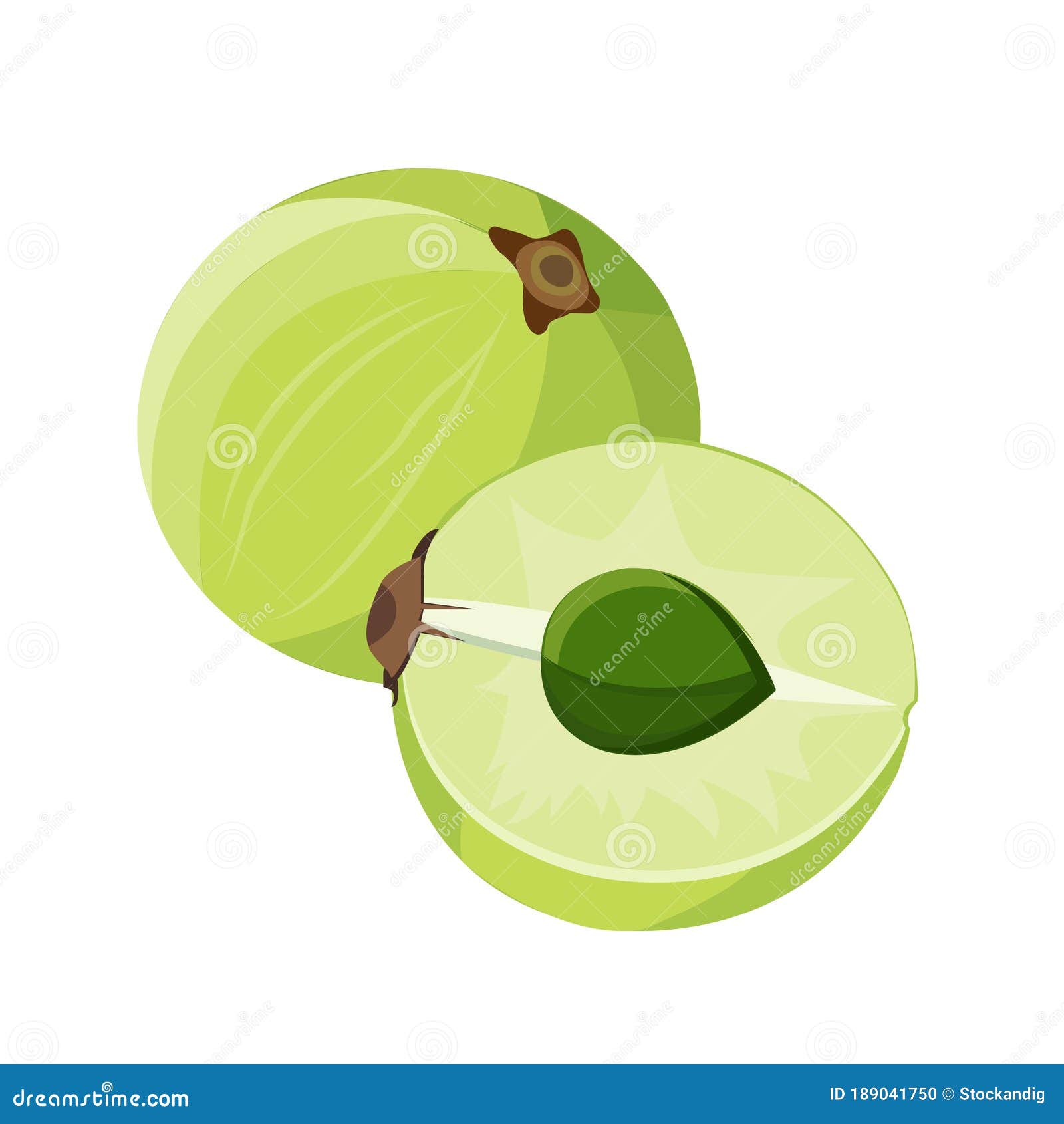 Vector Amla Illustration, Berries With Leaves Isolated On White ...