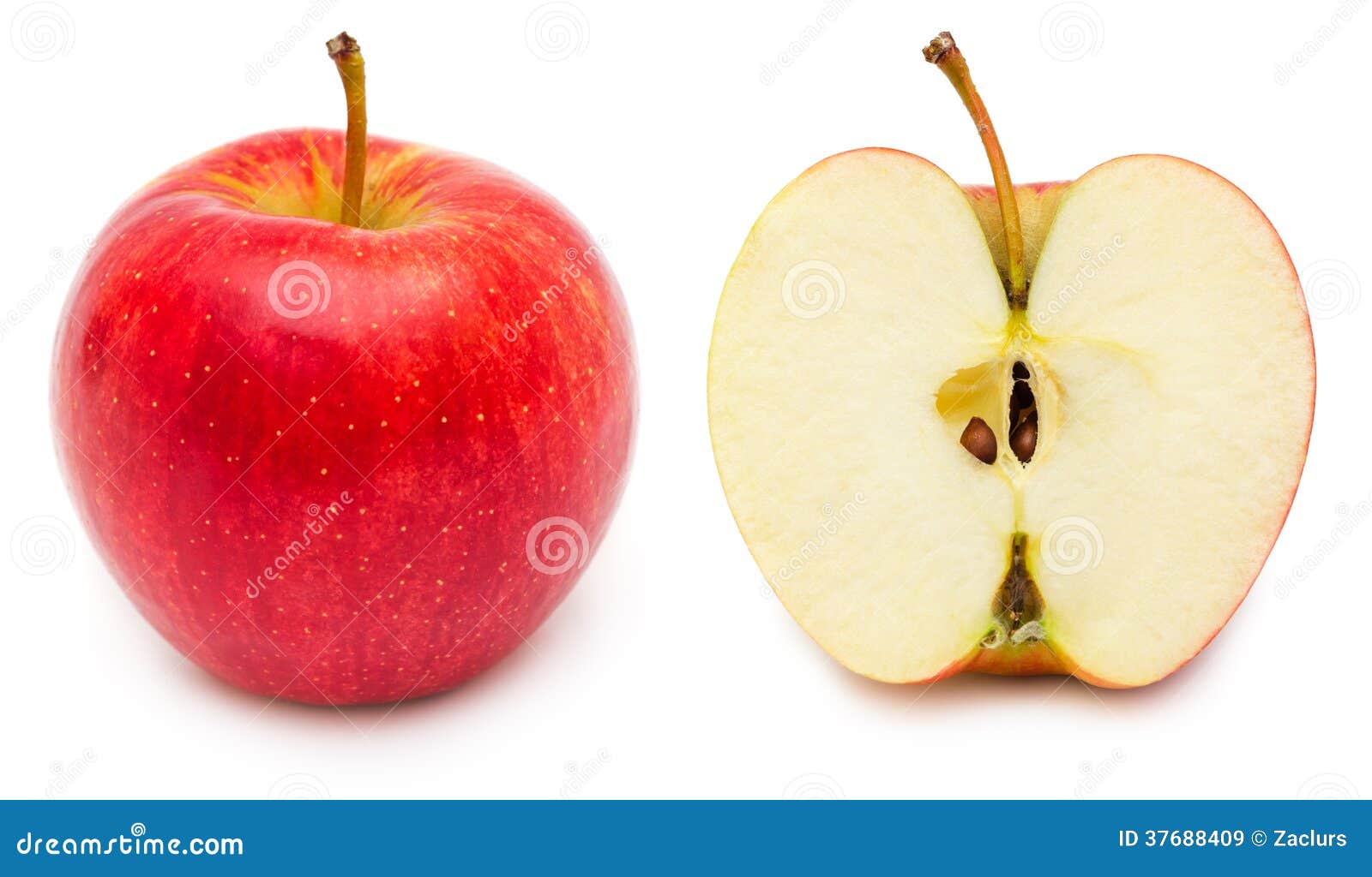Whole and half apple stock image. Image of eating, isolatedbackground ...