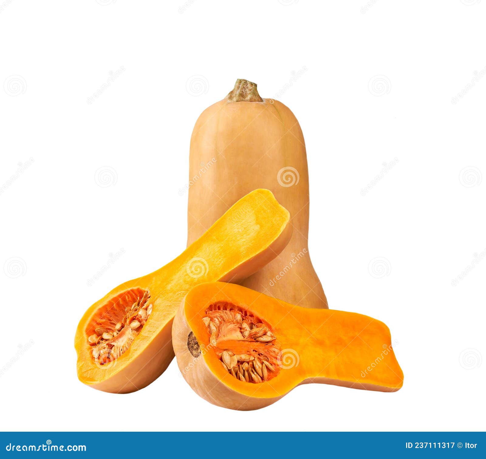 Whole and Half Butternut Squash Isolated on White Background Stock ...