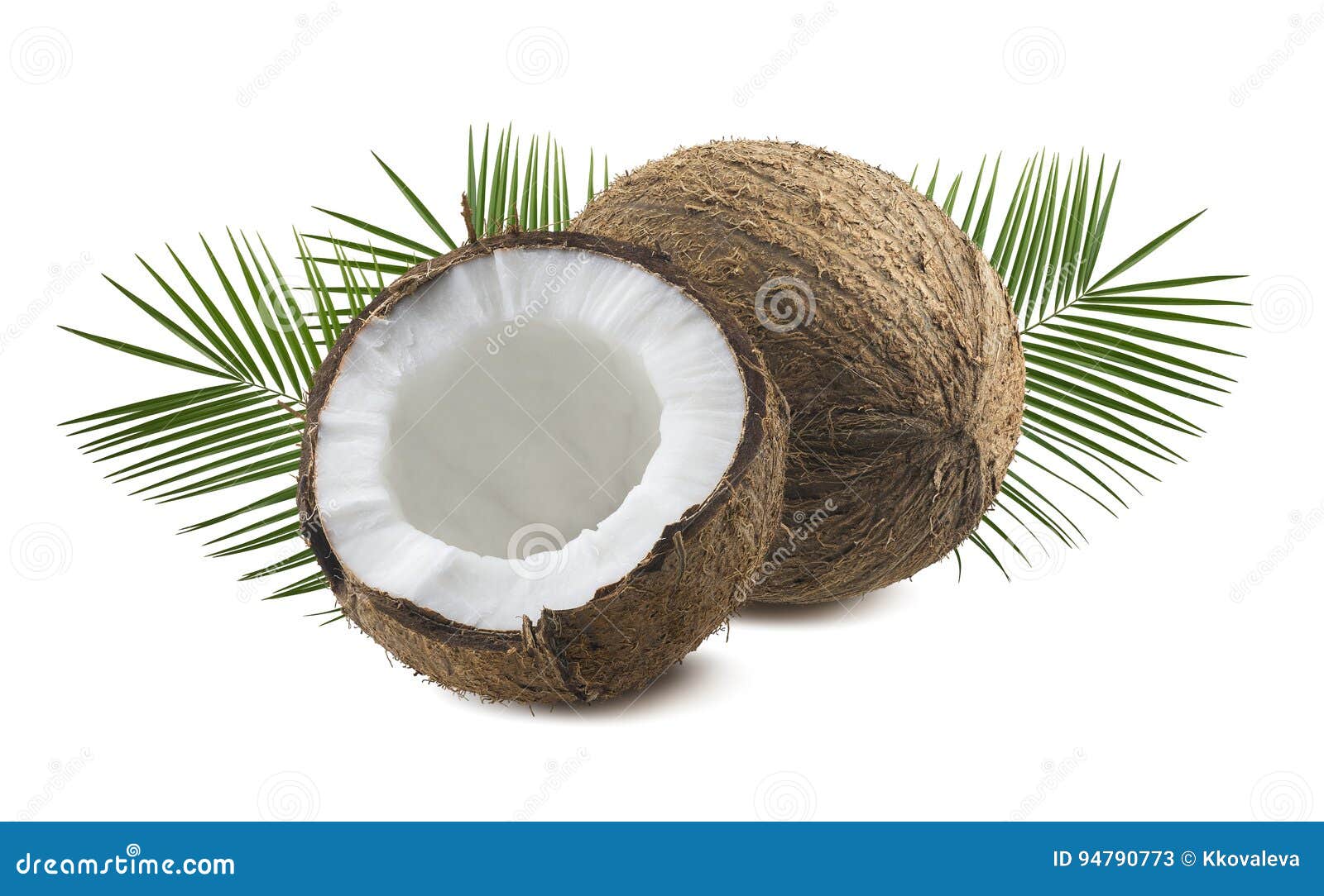 Whole and Half Coconut with Leaves Isolated on White Background Stock ...