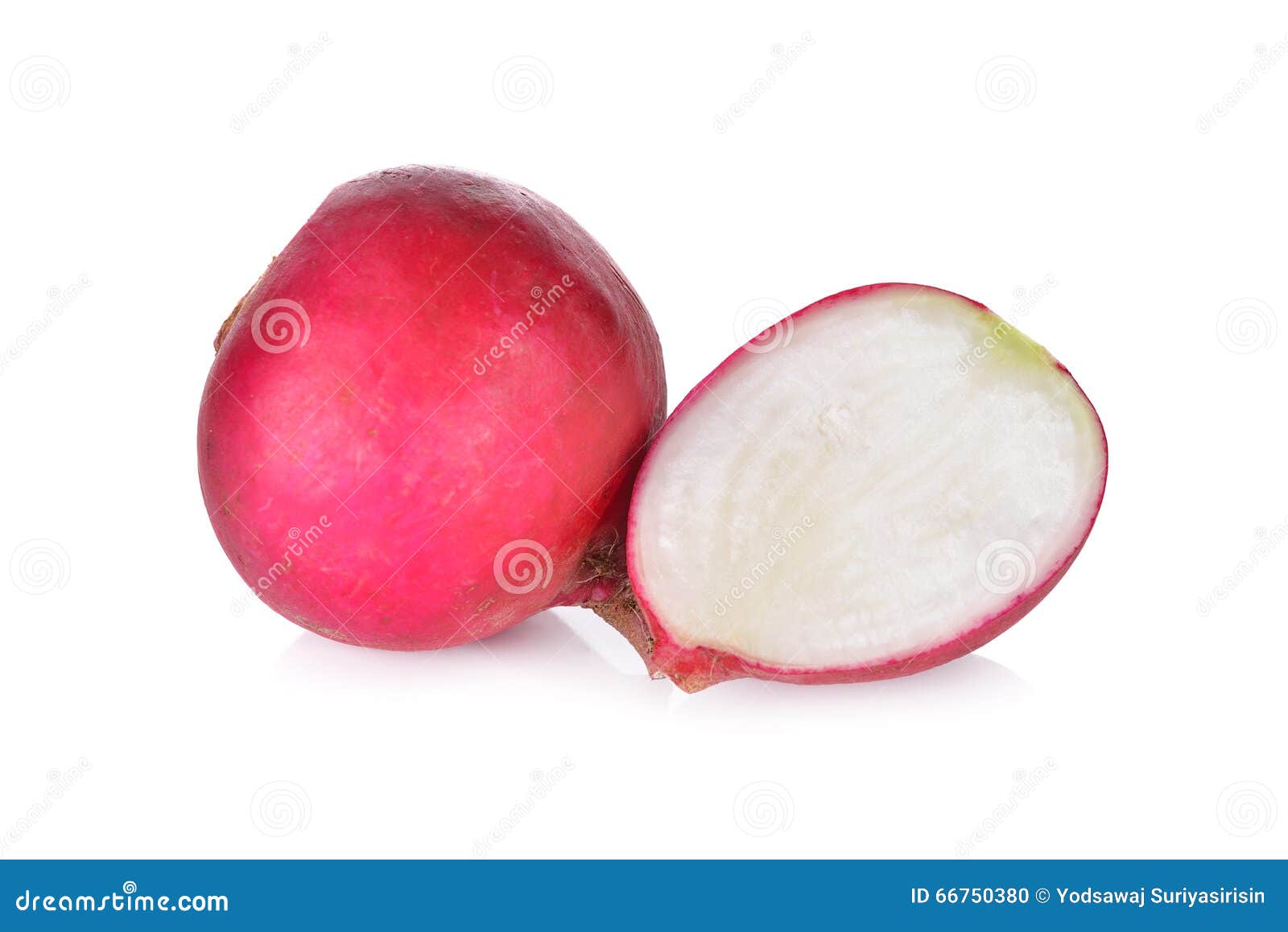 Whole and Half Cut Small Radish on White Stock Photo - Image of white ...