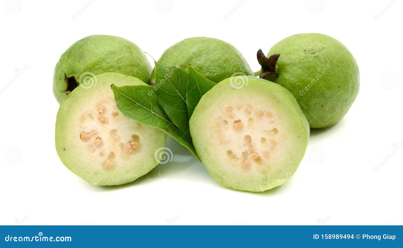Guava. stock photo. Image of agriculture, freshness - 158989494