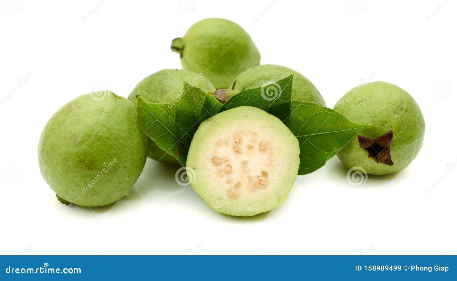 Guava. stock image. Image of nutrition, green, nature - 158989499