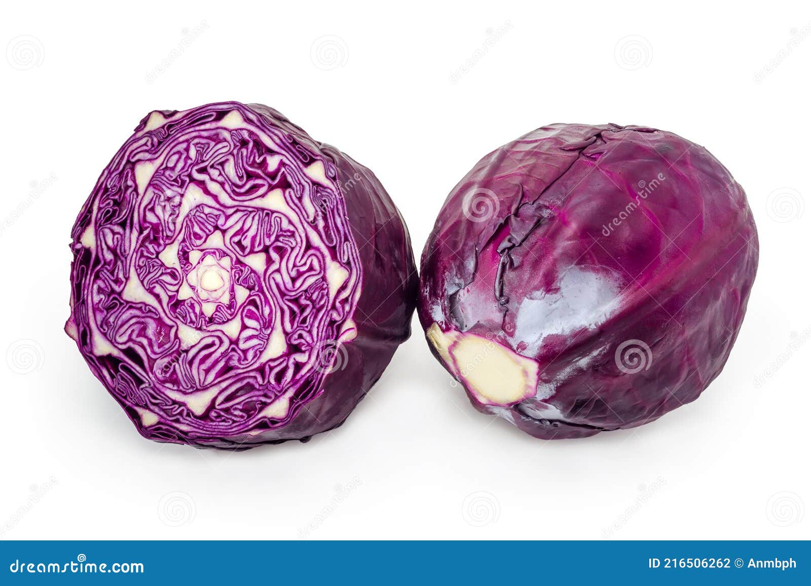 Whole and Half Heads of Red Cabbage on White Background Stock Photo ...