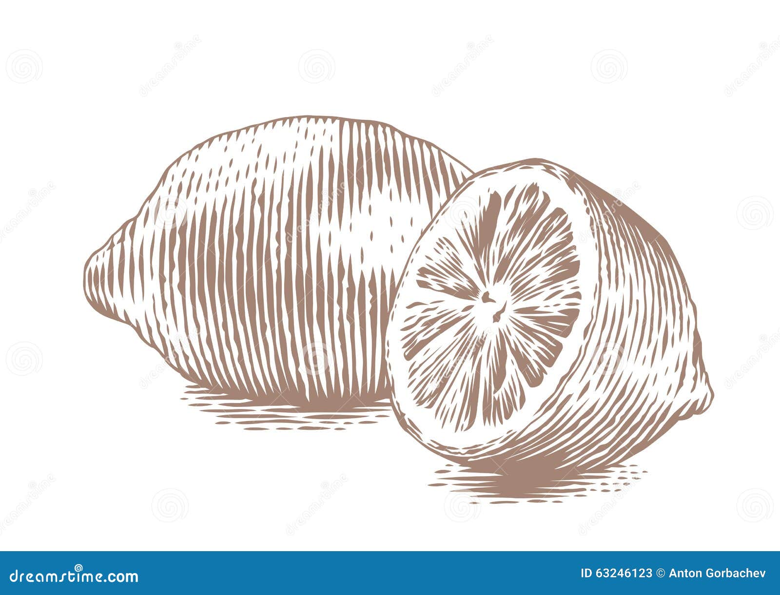 Half A Lemon Cut Along Vector | CartoonDealer.com #50715119