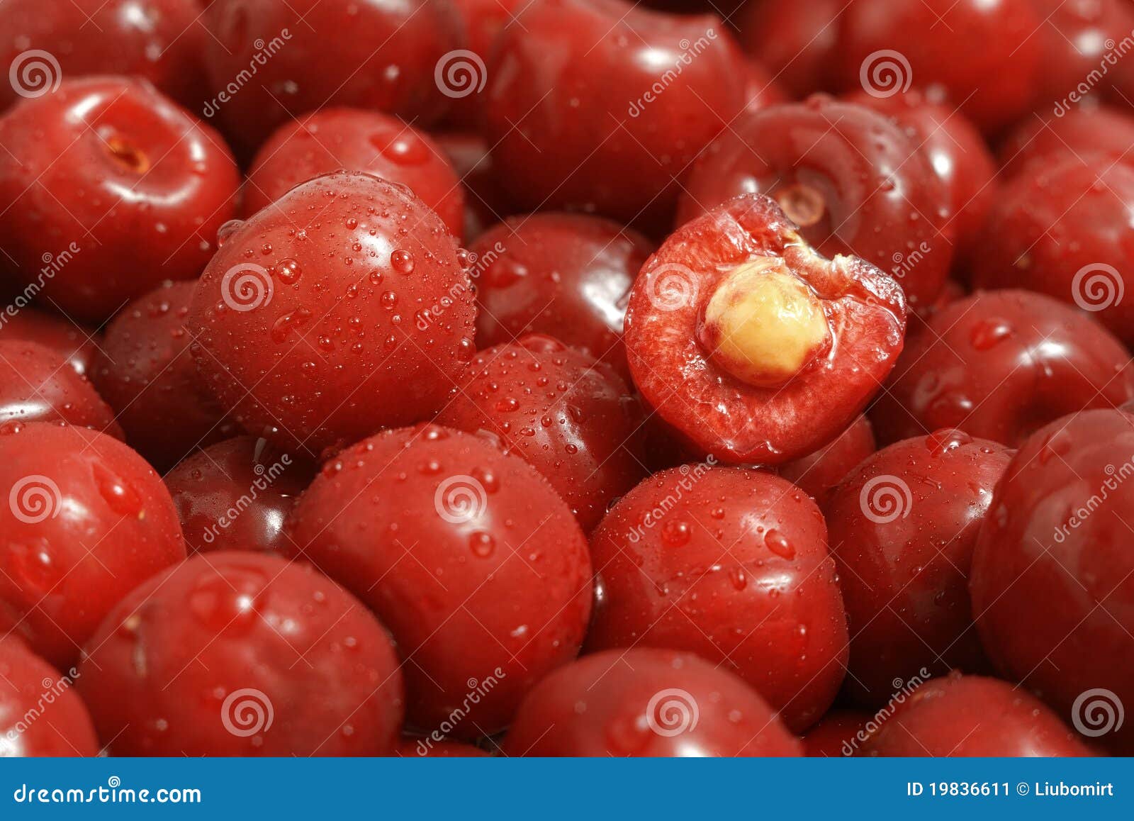 Whole and Half Opened Cherry Stock Image - Image of bunch, droplets ...