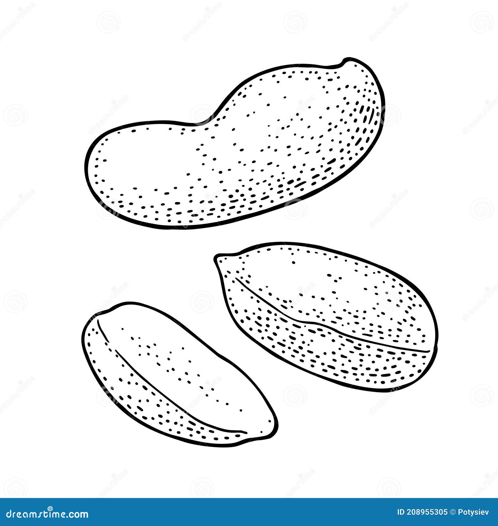Peanut Seed Icon. Brown Groundnut Outline Flat Sign, Isolated White ...