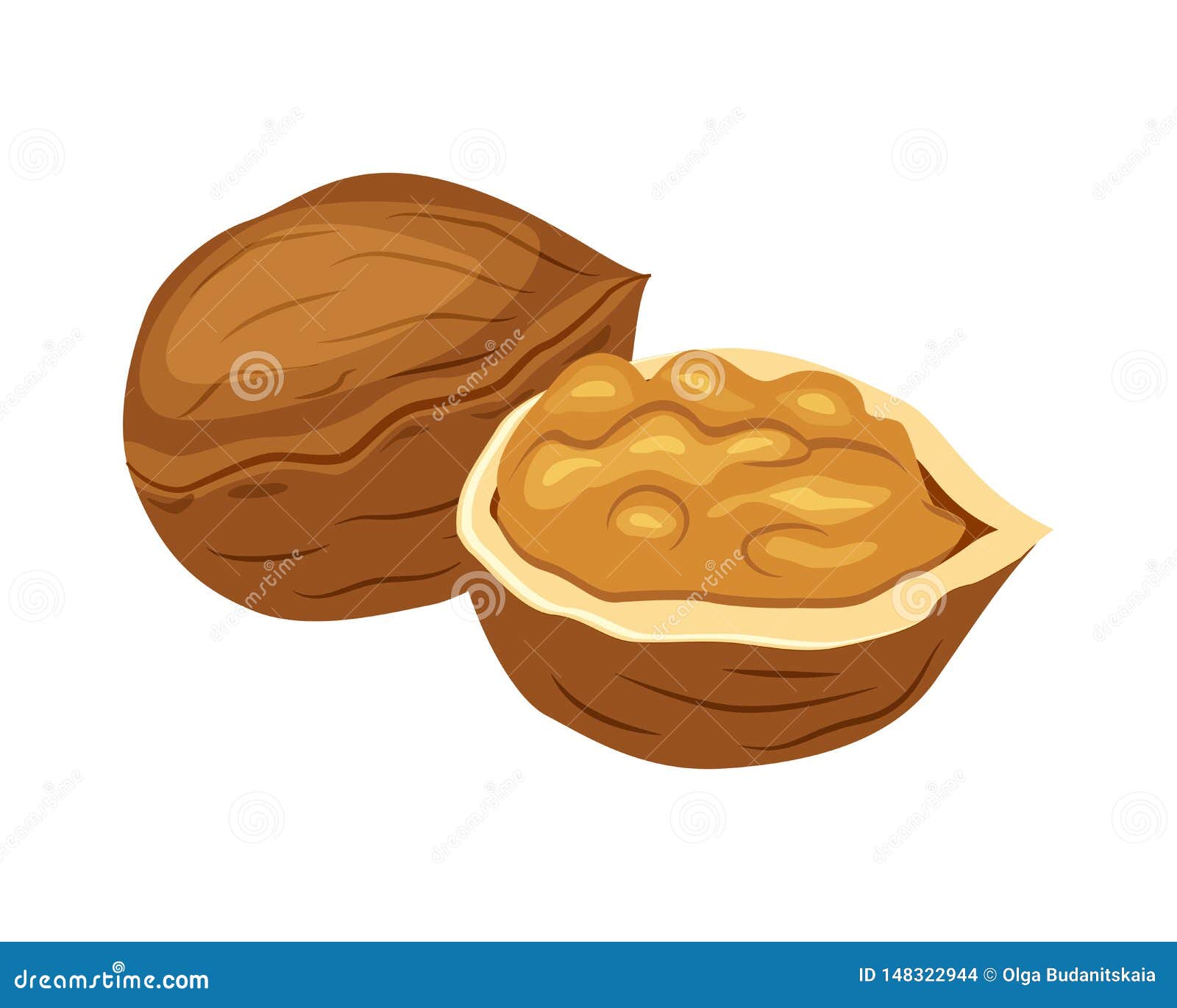 Walnut Vector Logo. Round Linear Of Walnut | CartoonDealer.com #182627352