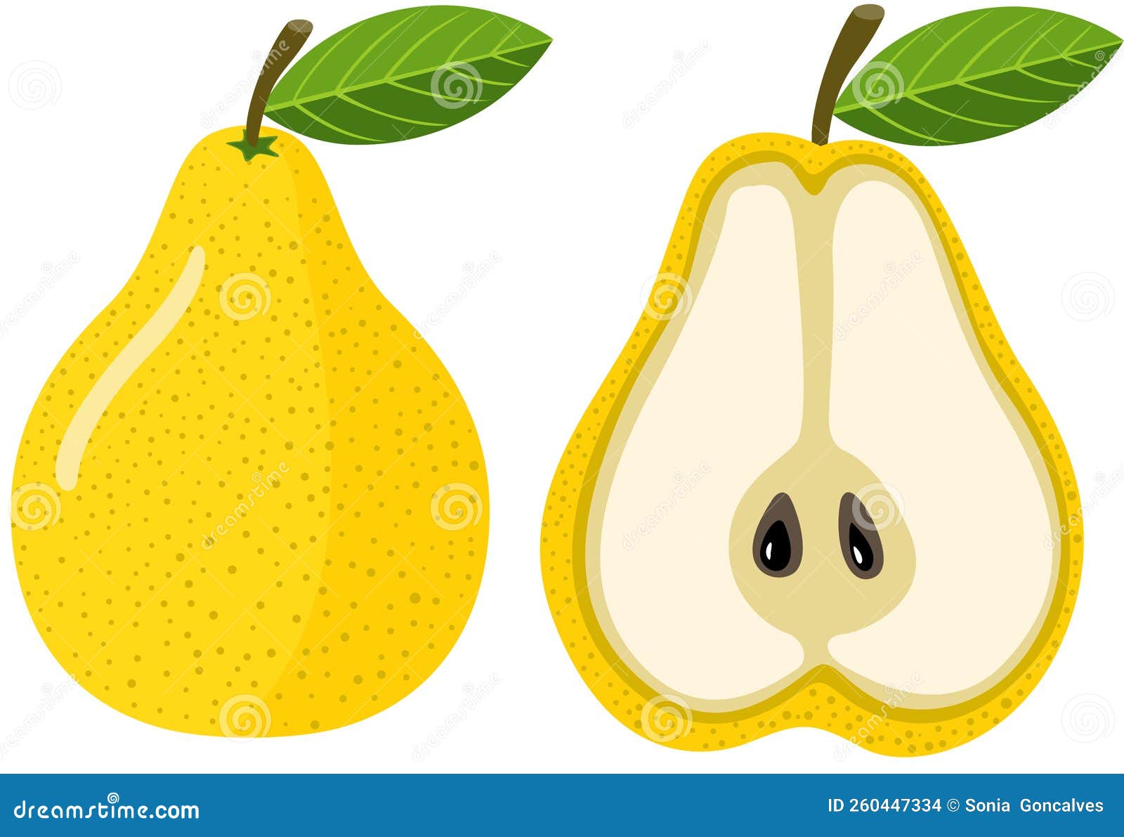 Half Yellow Pepper Cayenne. Vintage Engraving Gray Color Illustration ...