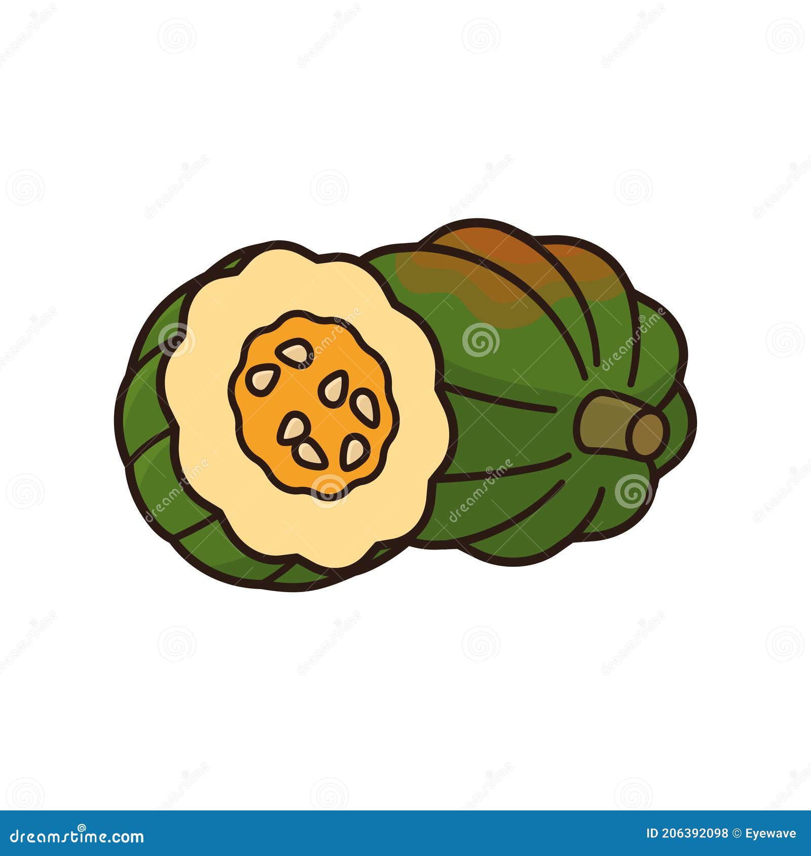 Whole and Halved Acorn Squash Isolated Vector Illustration Stock Vector ...