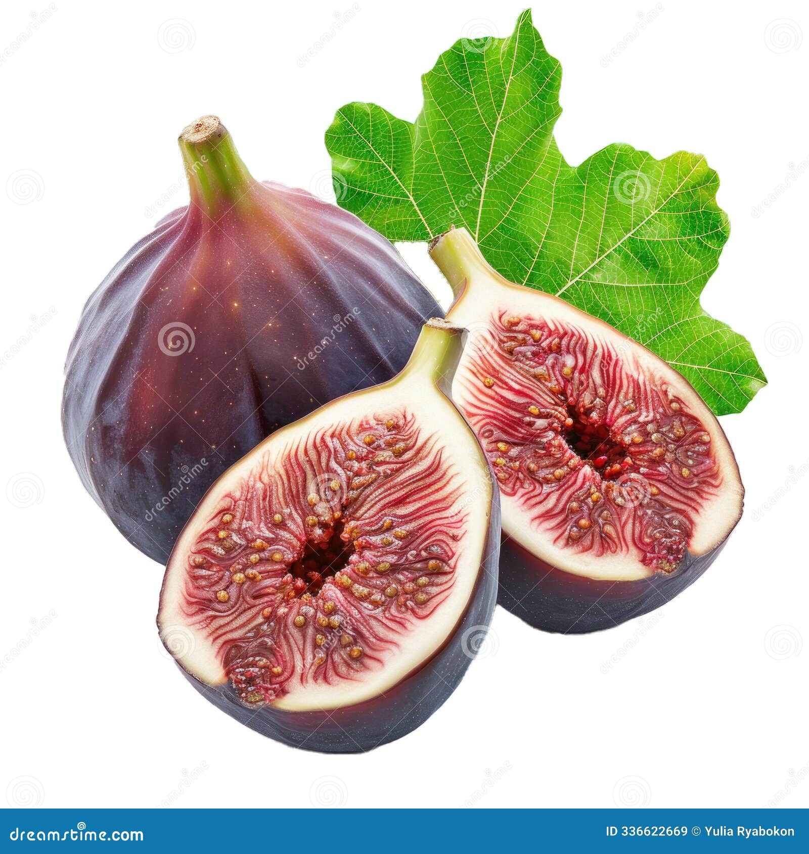Whole and Halved Figs Showing the Inside with Leaf Stock Illustration ...