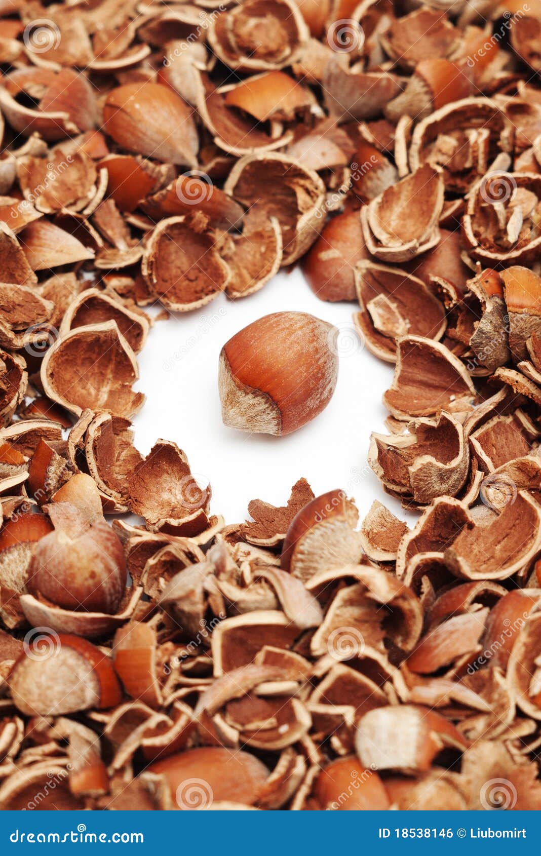 Whole Hazelnut and Cracked Shells Stock Photo - Image of open, cracked ...