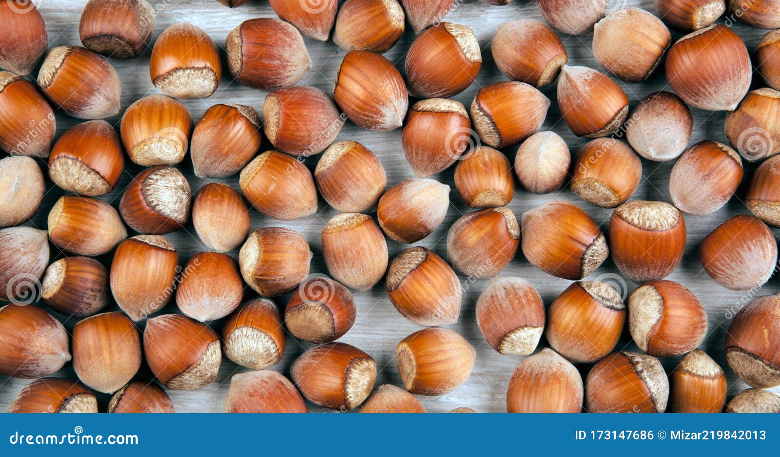 Whole Hazelnut Kernels on Wooden Background Stock Photo - Image of ...