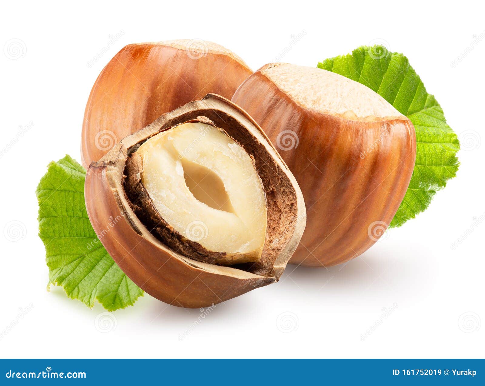 Whole Hazelnuts with Hazelnut in Broken Shell with Leaves Isolated on a ...