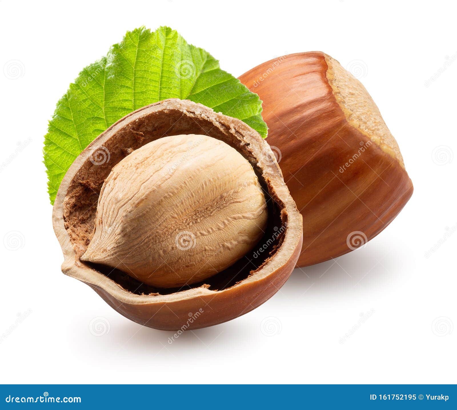 Whole Hazelnuts with Hazelnut in Broken Shell with Leaves Isolated on a ...