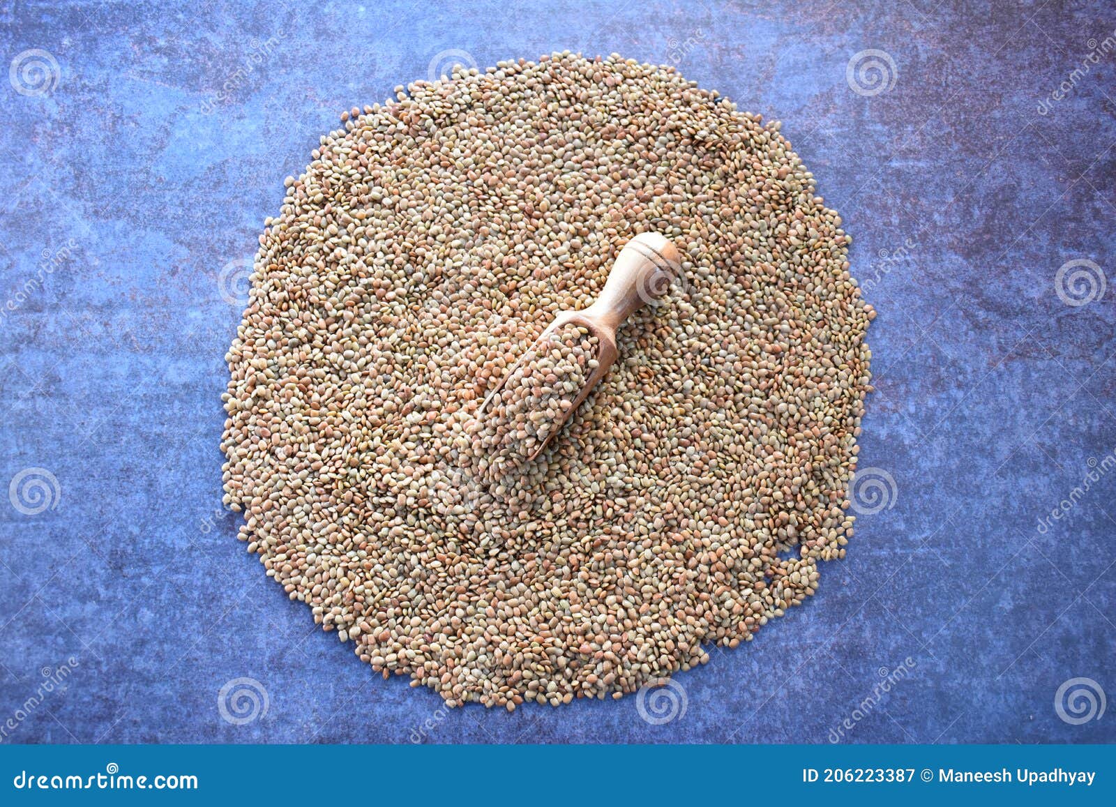 Whole Horse gram stock image. Image of feed, cuisine - 206223387