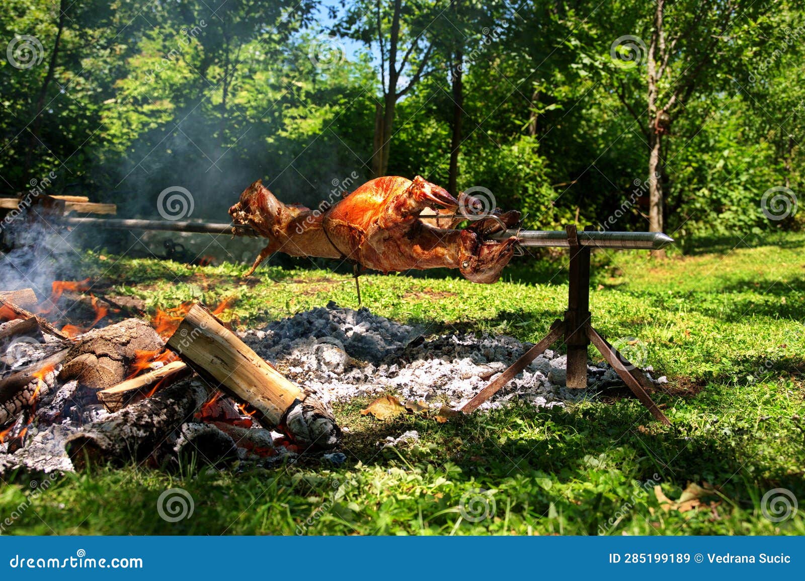 Whole lamb baked on a spit stock image. Image of food - 285199189