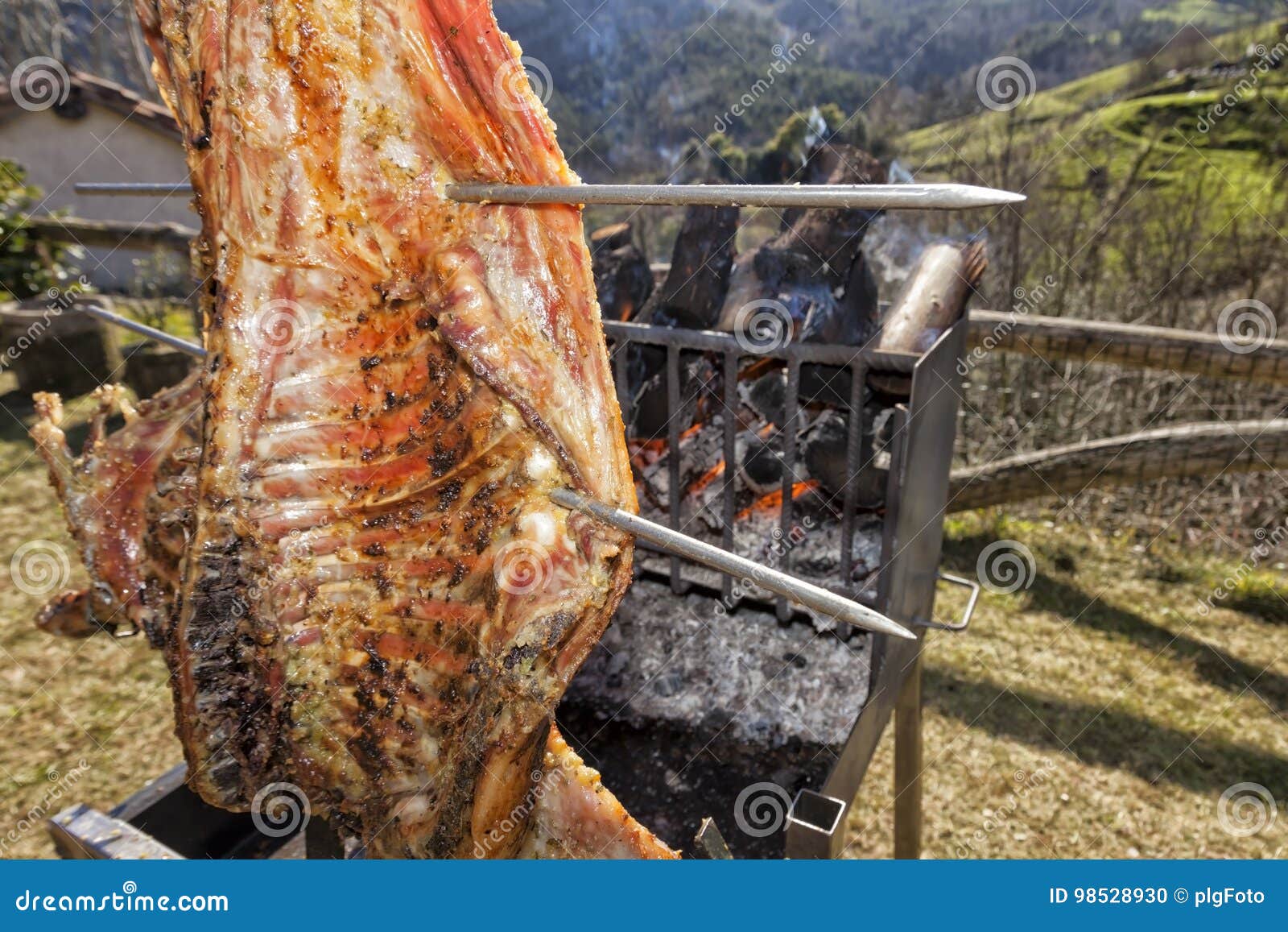 Whole lamb roasted. stock photo. Image of paws, barbecues - 98528930