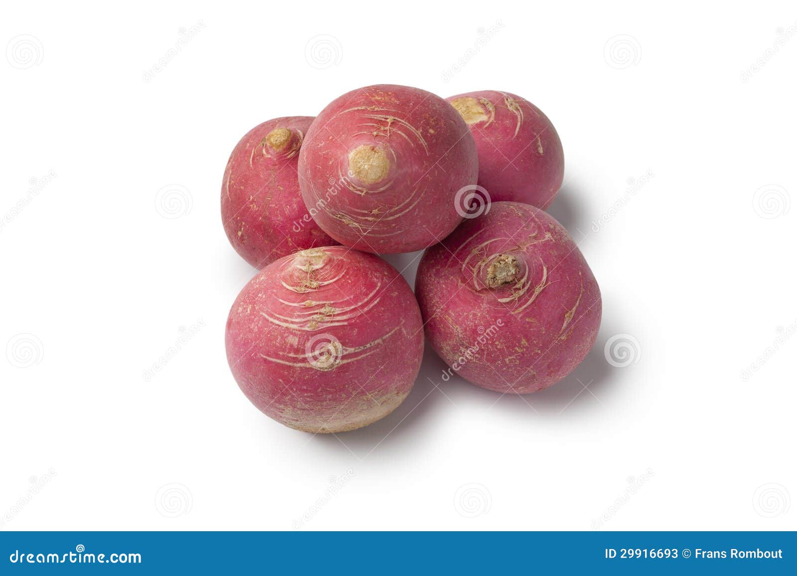 Whole large radishes stock image. Image of eating, vegetable - 29916693