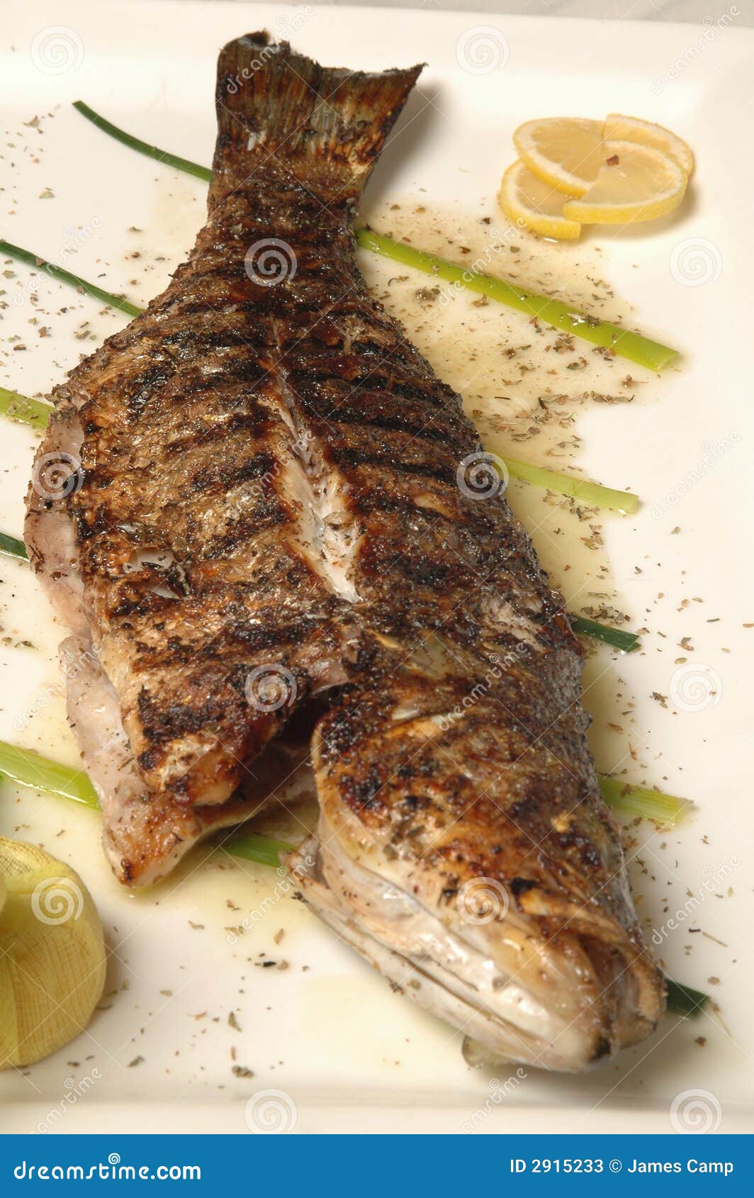 Whole Lavraki stock image. Image of seasonings, head, lavraki - 2915233