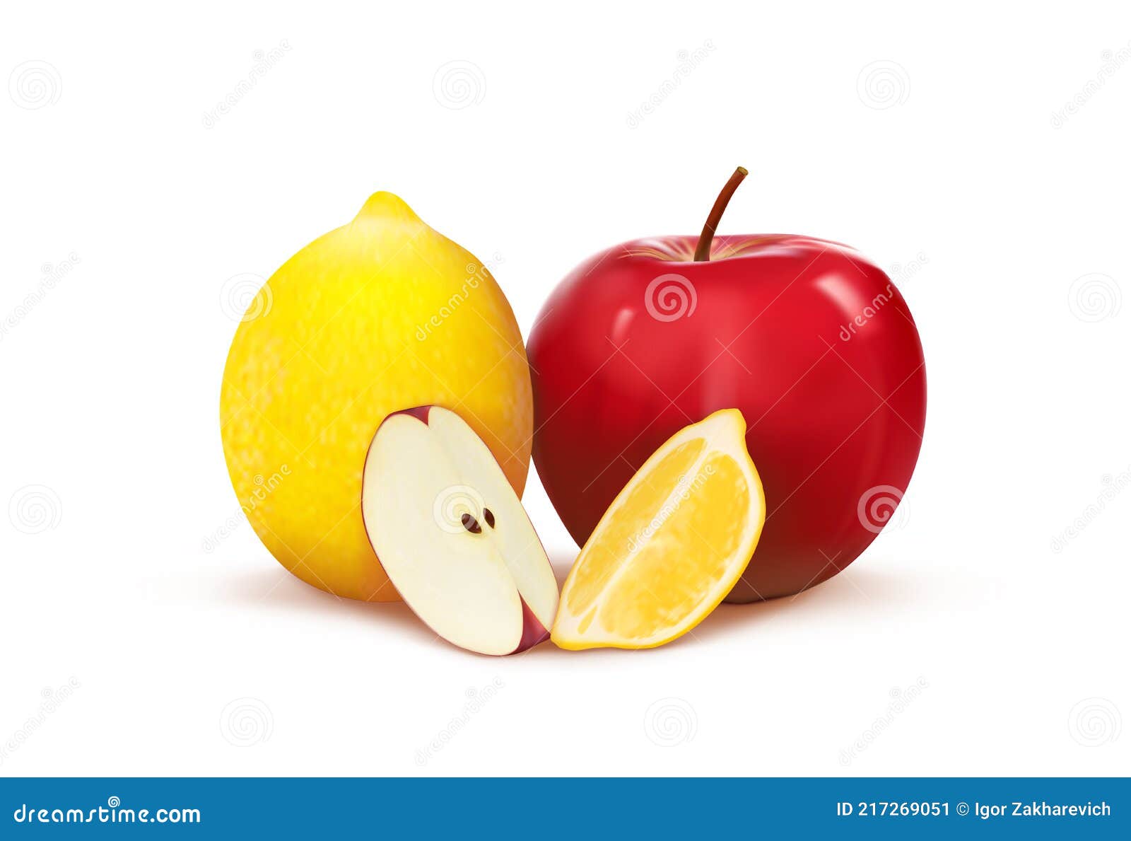 Apple Slices Structure Diagram On Background Cartoon Vector ...