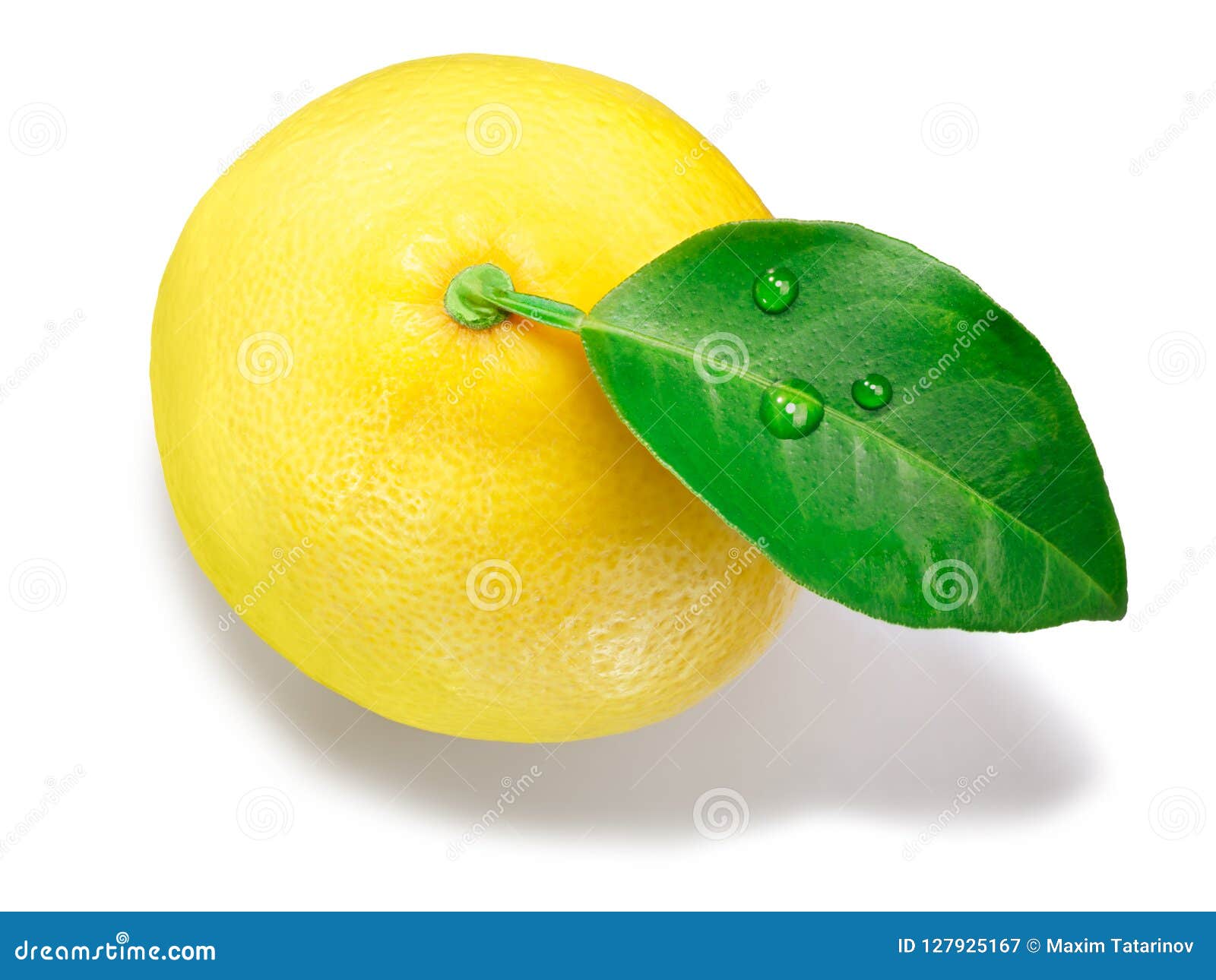 Whole Lemon W. Leaf, Top View Stock Image - Image of isolated, lemon ...