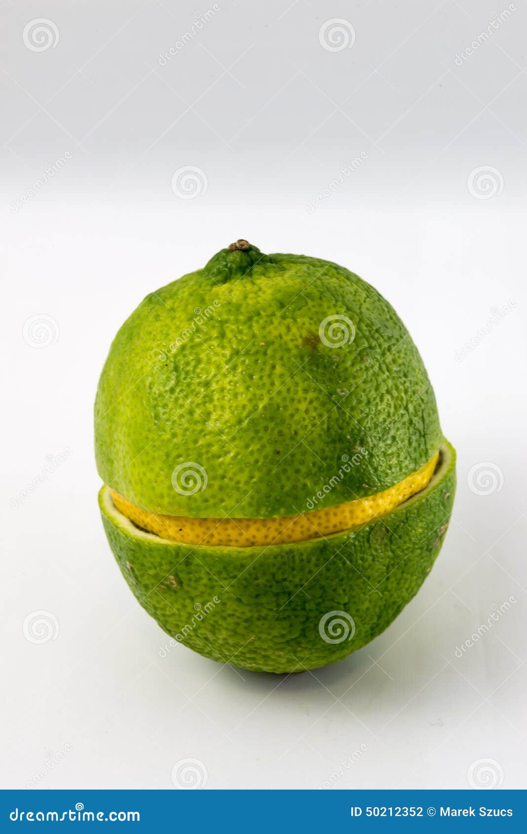 Whole Lime Cuted in Middle with Lemon Slice in Middle Stock Photo ...