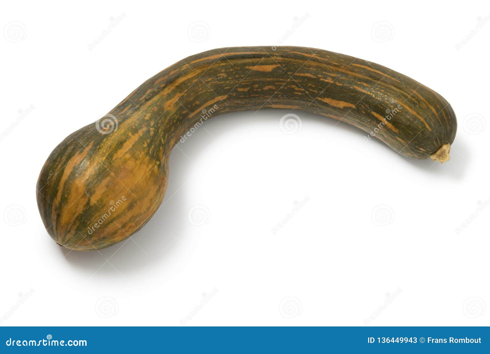 Whole long neck pumpkin stock image. Image of studio - 136449943