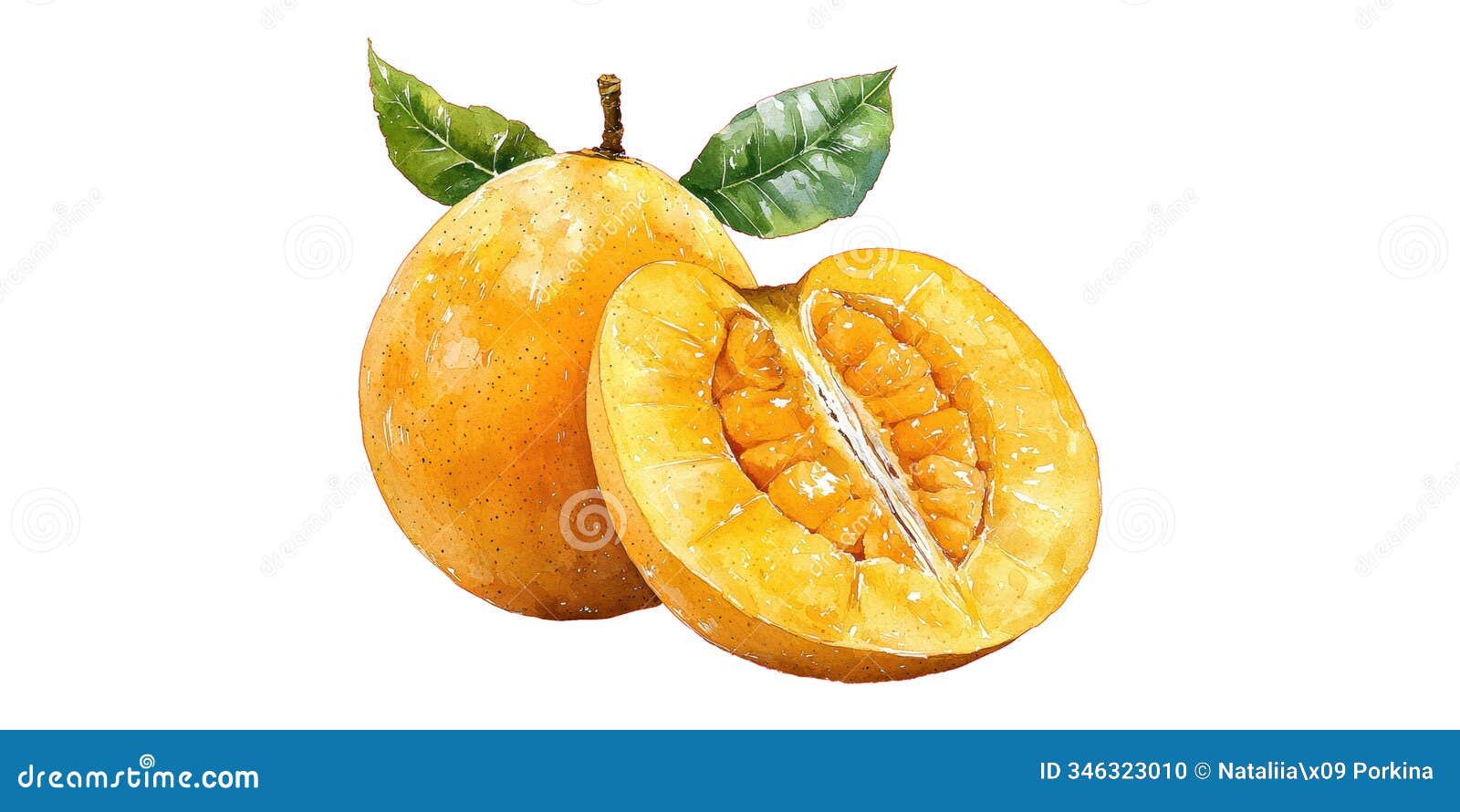 Whole Loquat Fruit with Leaves Isolated on Transparent Background ...