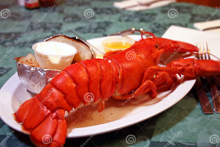Whole Maine Lobster Dish stock photo. Image of tablecloth - 54182
