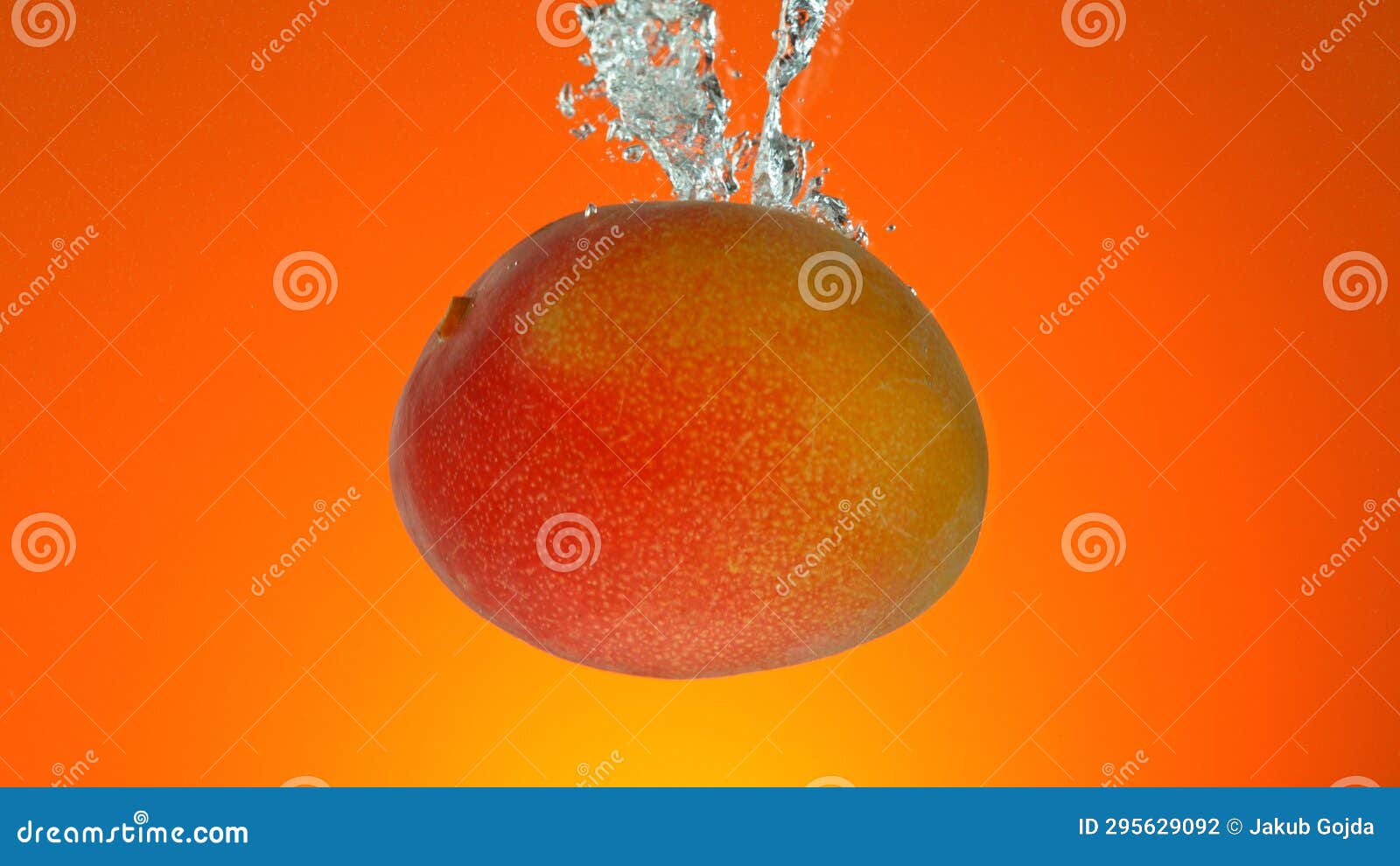 Whole Mango Fruit Falling into Water Stock Photo - Image of mango ...
