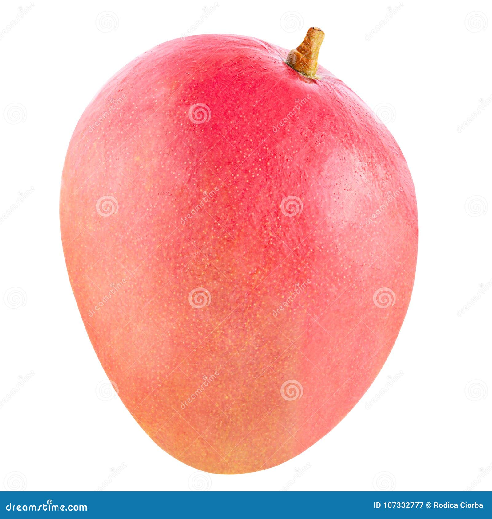 Whole Mango Isolated on White Stock Image - Image of healthy, juicy ...