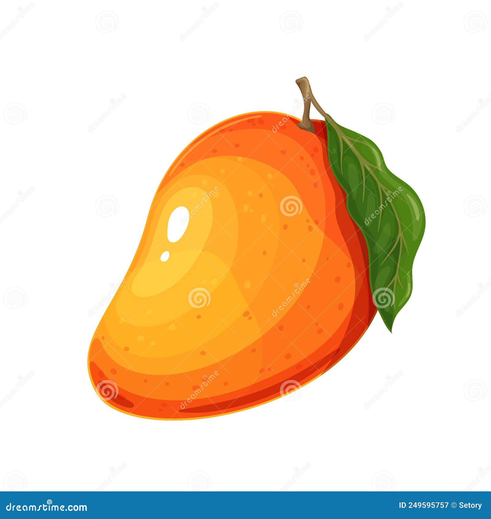 Whole mango with leaf stock vector. Illustration of sweet - 249595757