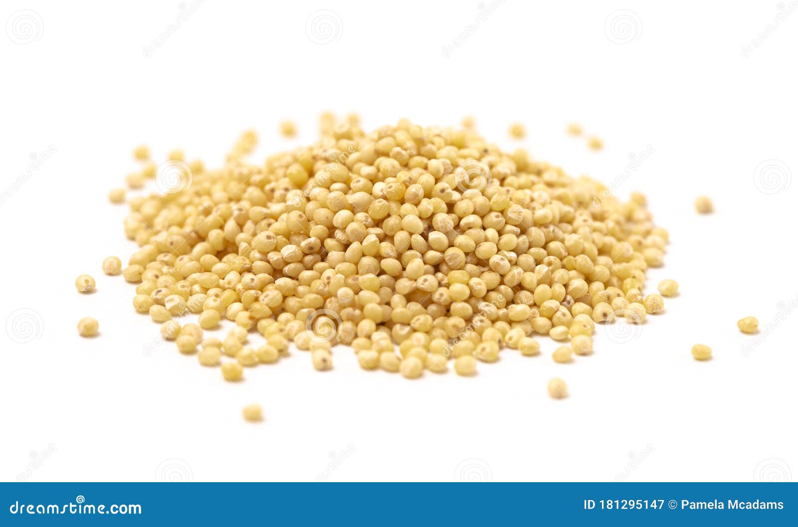 Whole Millet Pearl Grains on a White Background Stock Image - Image of ...