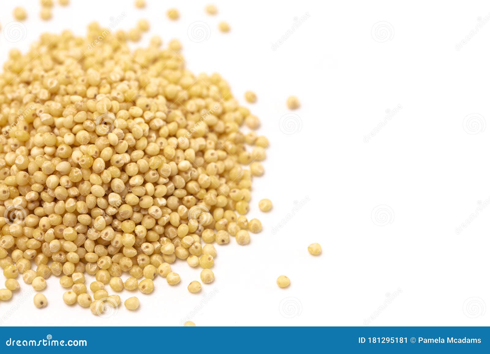 Whole Millet Pearl Grains on a White Background Stock Image - Image of ...