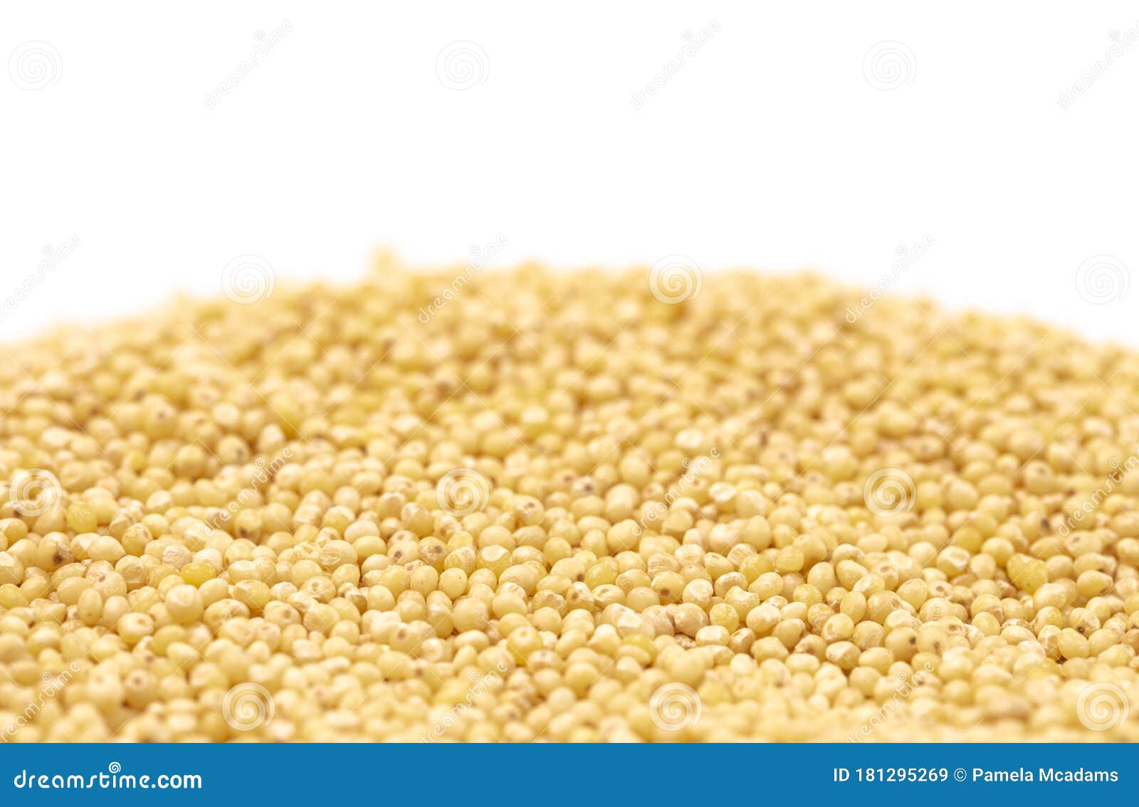 Whole Millet Pearl Grains on a White Background Stock Image - Image of ...