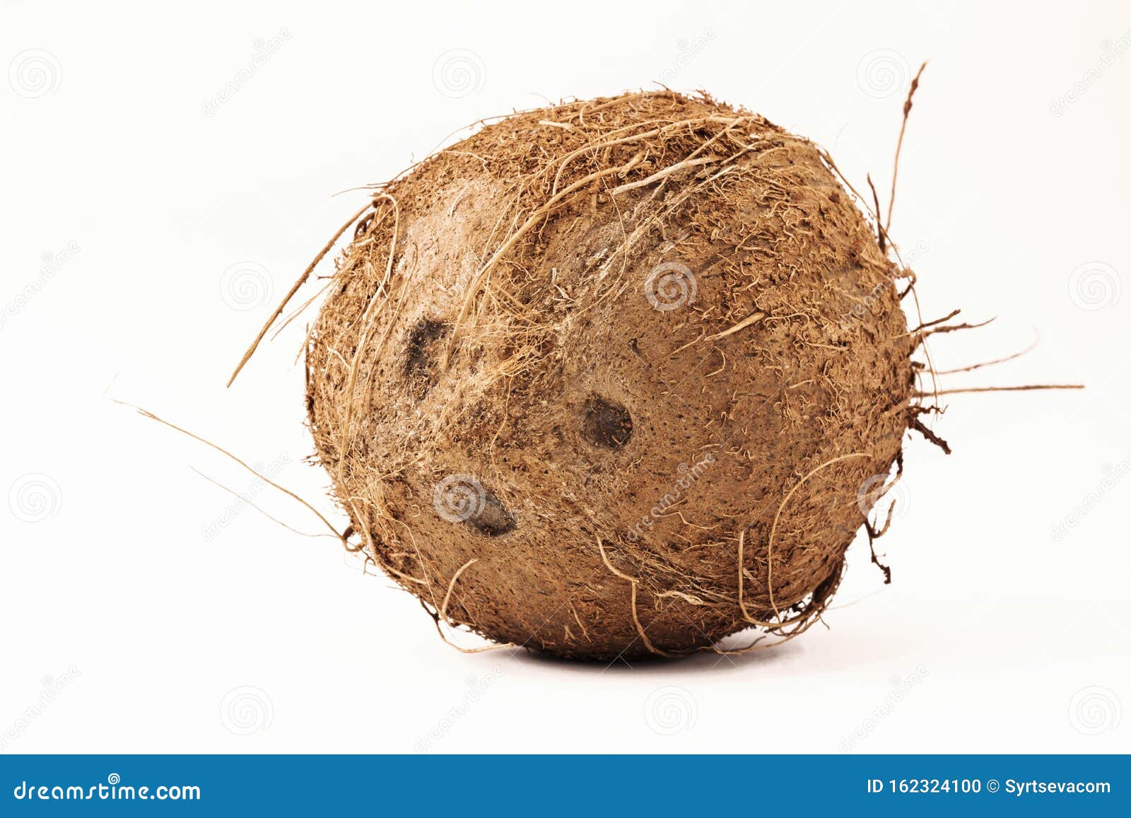 Whole Natural Coconuton Isolated on White Background Stock Photo ...