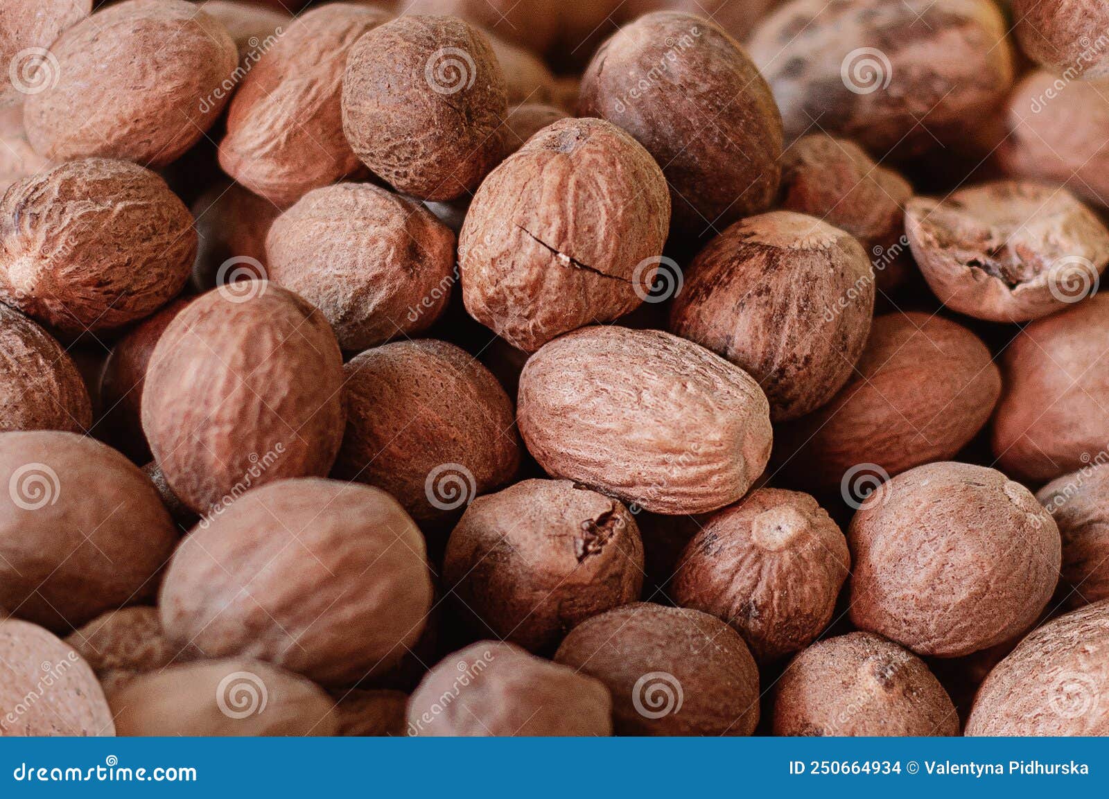 Whole nutmeg spice in dish stock photo. Image of ingredient - 250664934