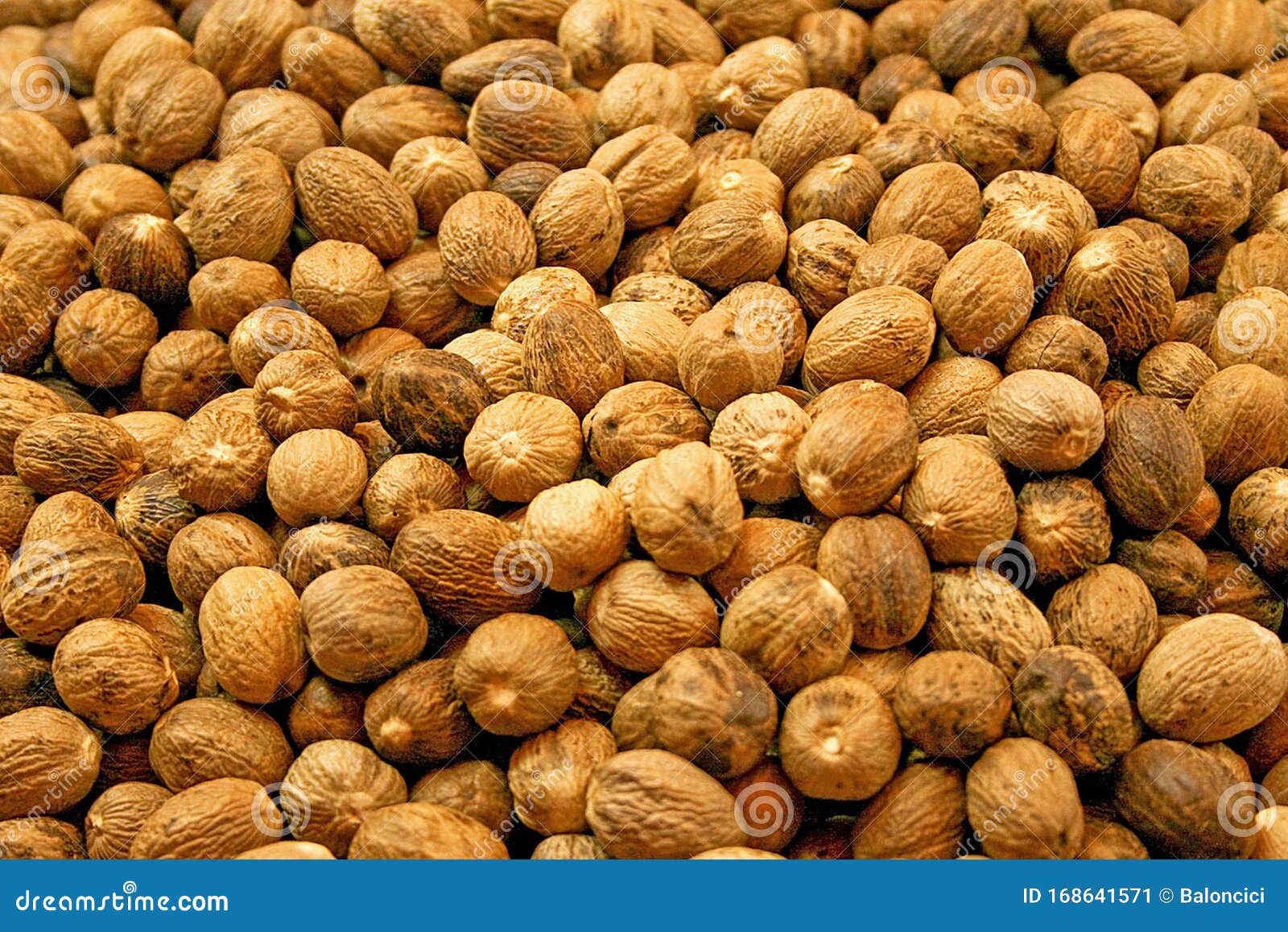 711 Brown Nutmegs Stock Photos - Free & Royalty-Free Stock Photos from ...