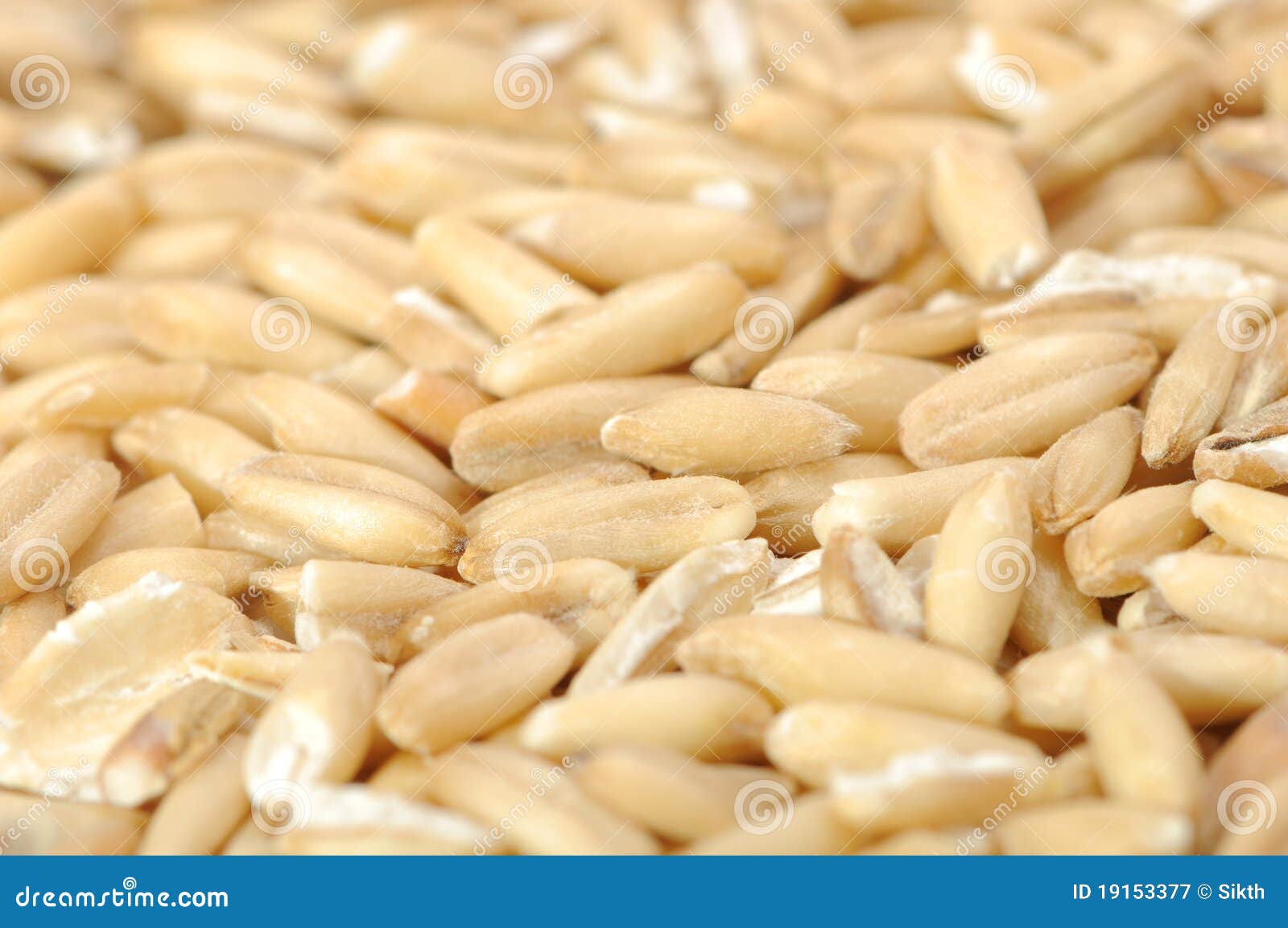 Whole Oats Close-up stock image. Image of brunch, close - 19153377