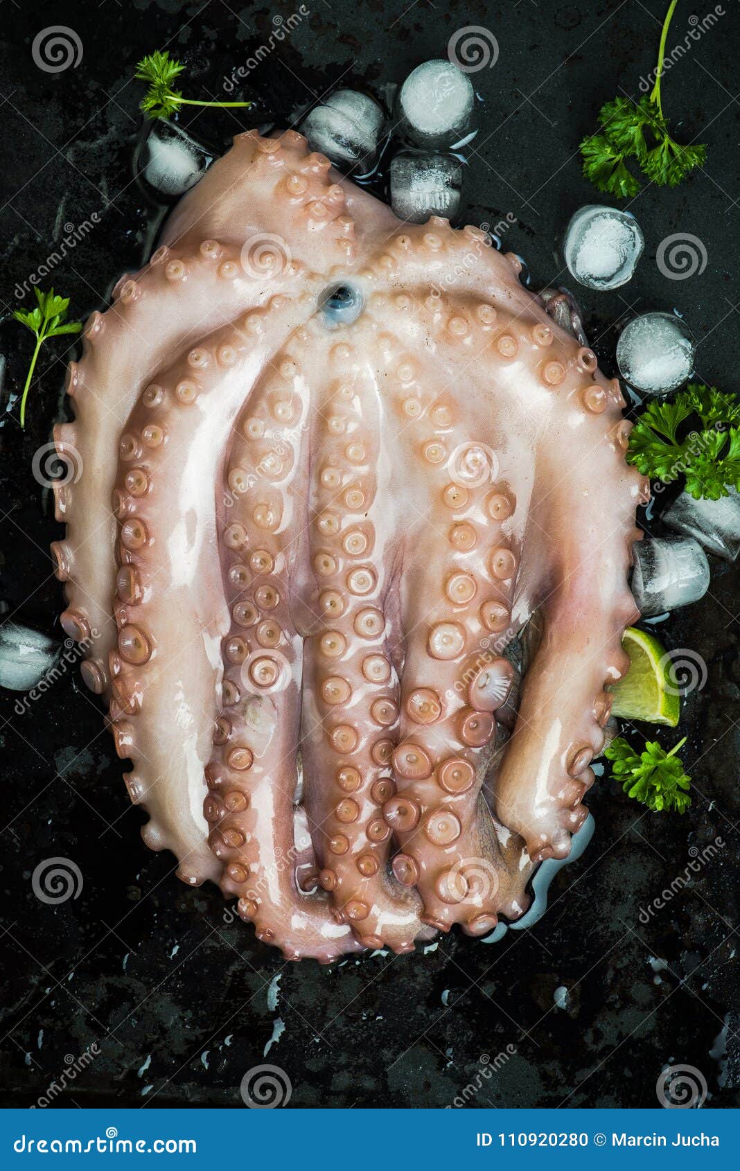Whole Octopus On Grill, Night Street Food Closeup. South Asian Street ...