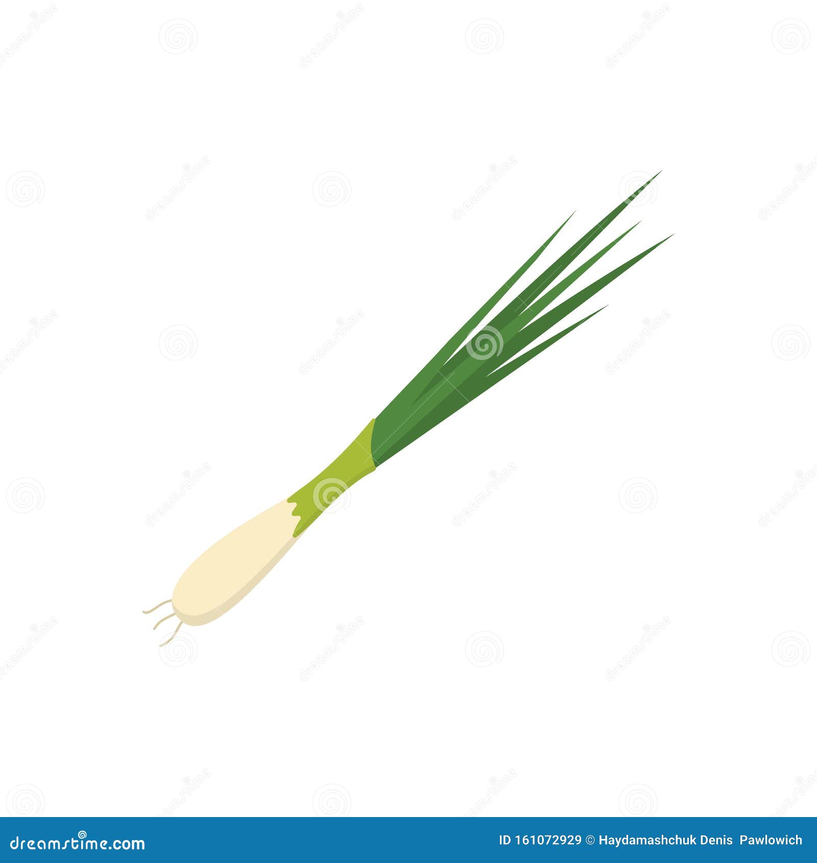 Whole Onion Ripe. Spring Onions Vegetable Vector in Cartoon Style ...