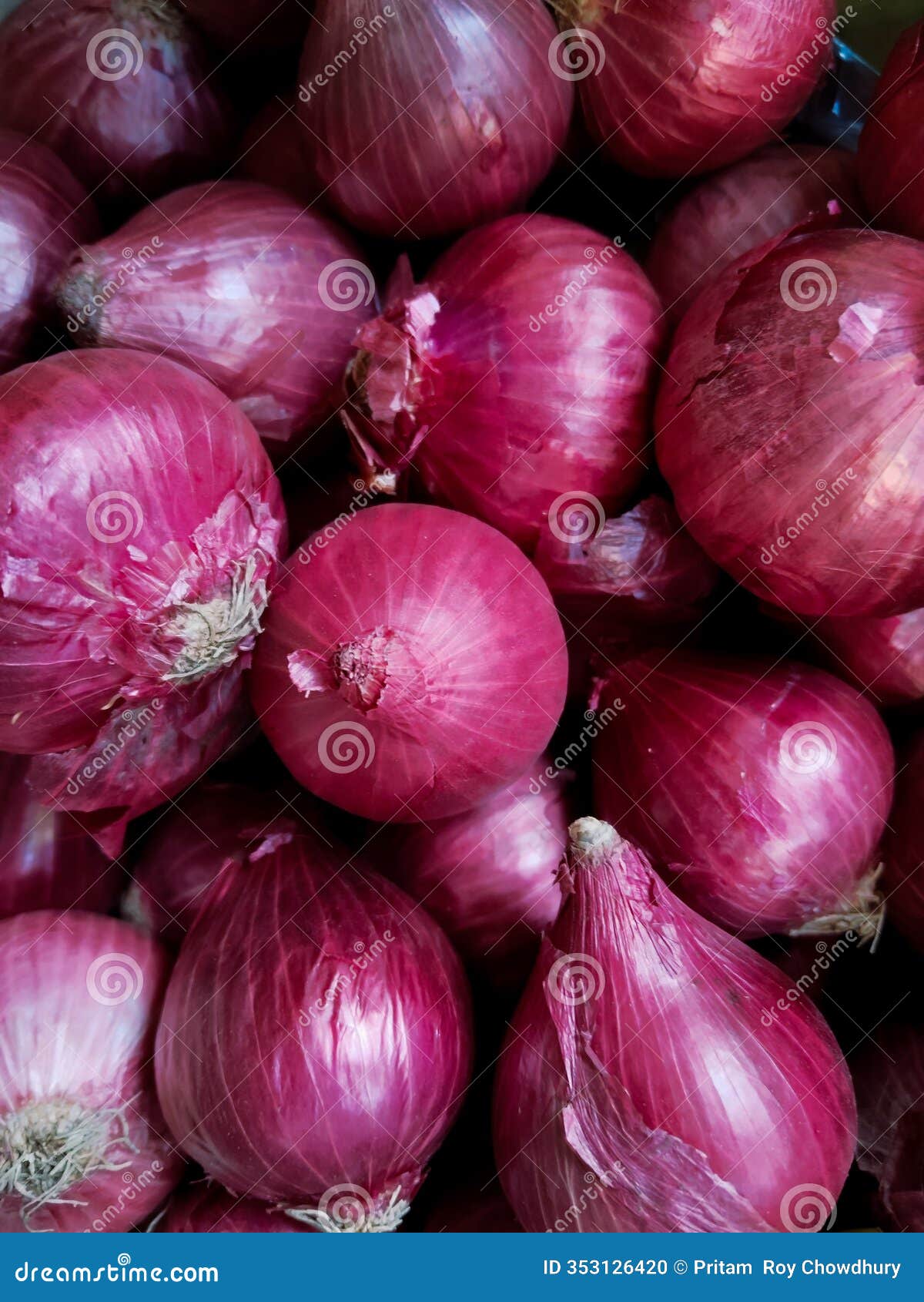 Whole onion top view stock photo. Image of health, gardener - 353126420