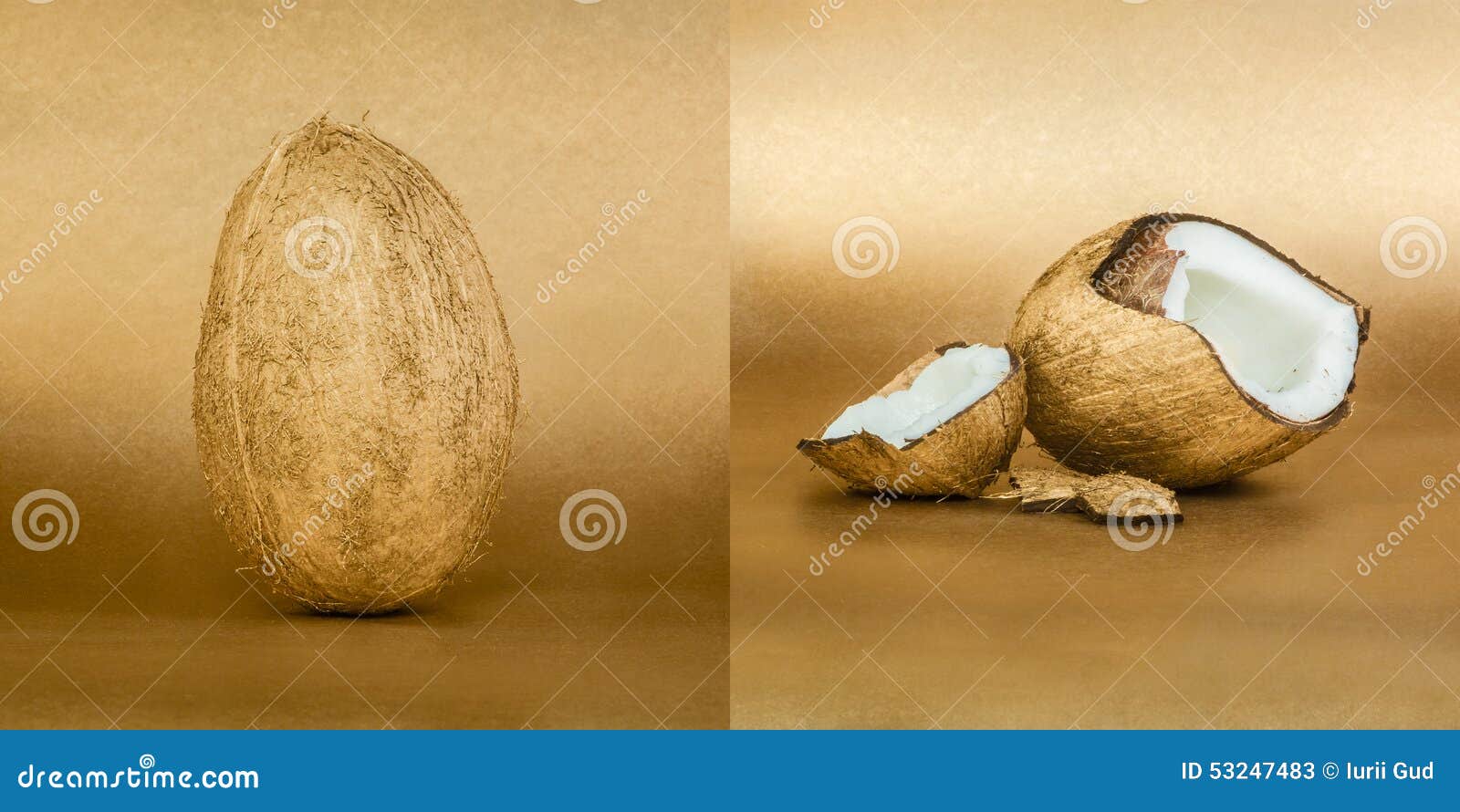 Whole And Opened Coconut With Golden Peel On Gold Background Royalty ...