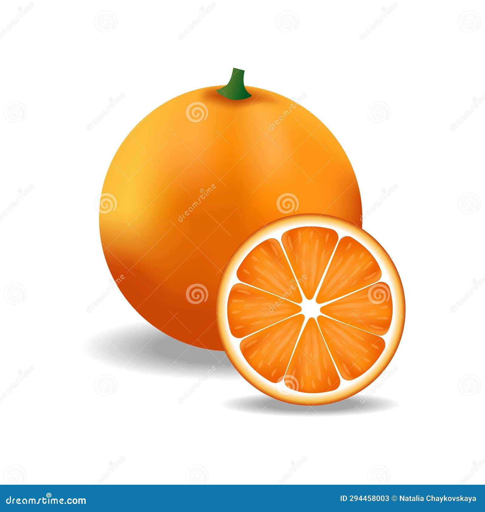 A Whole Orange and a Circle of Orange. Vector Illustration Stock Image ...