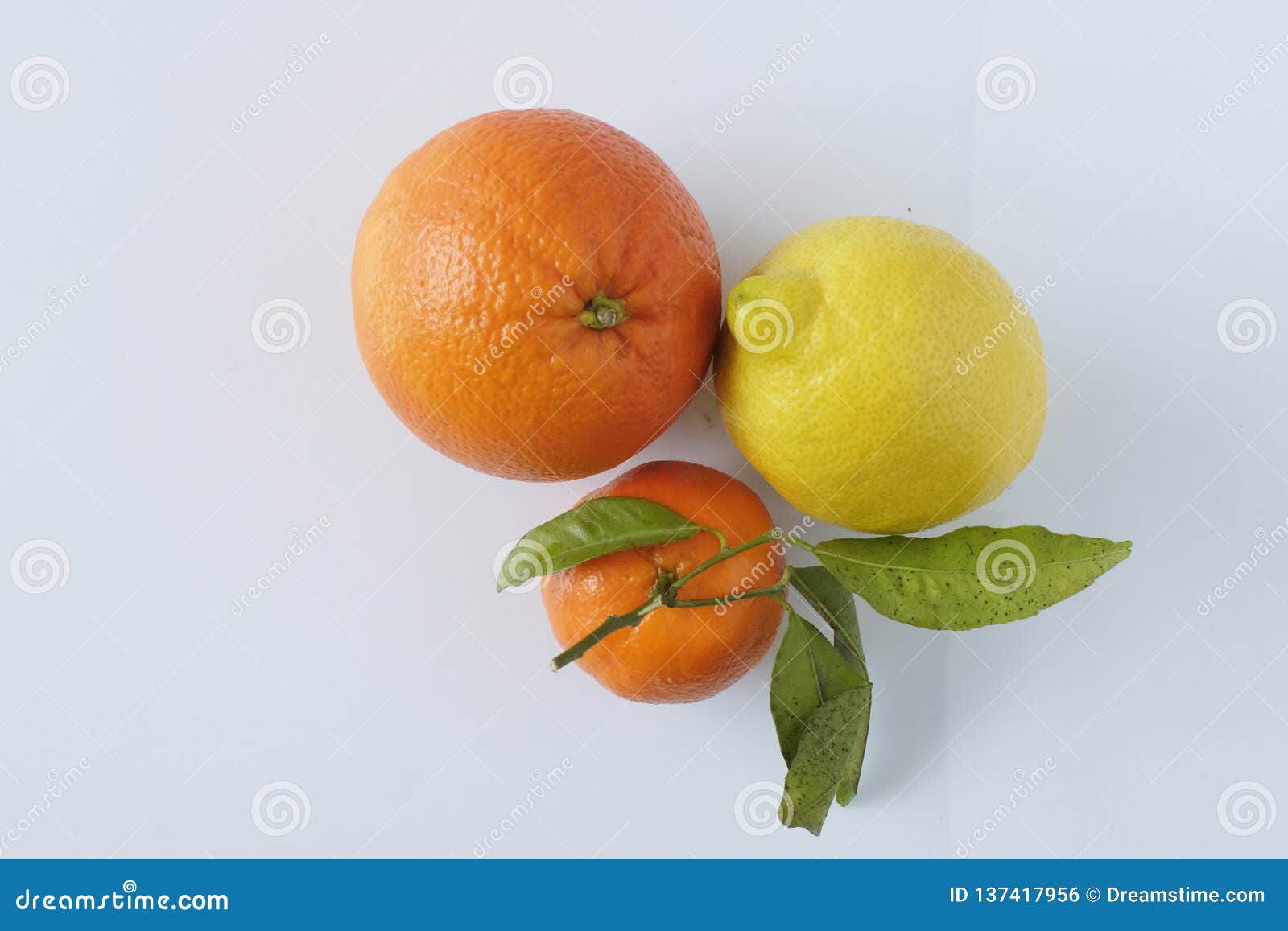 Mediterranean Orange, Lemon and Mandarin Stock Photo - Image of citrus ...