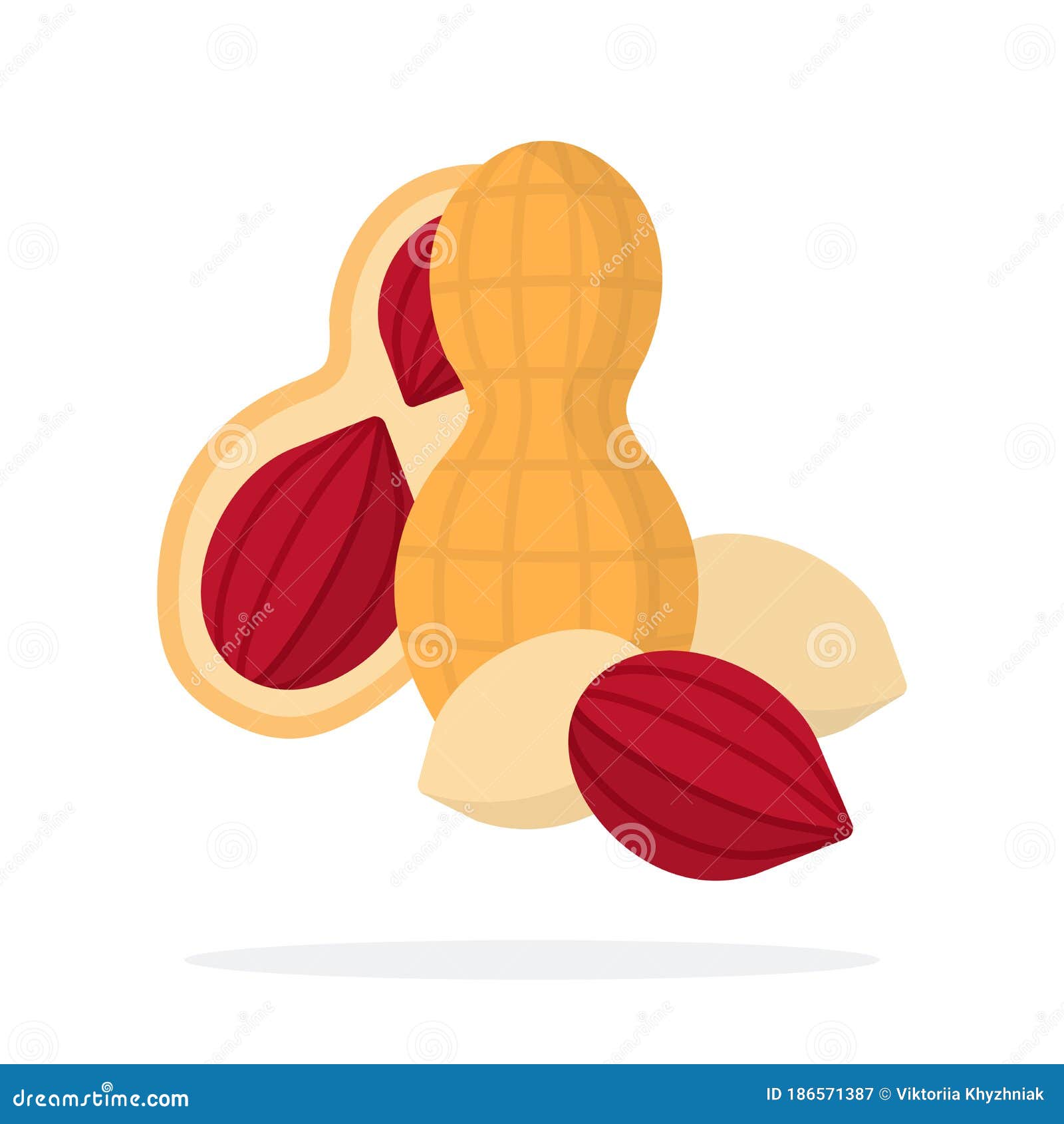 A Whole Peanut Nut, Half Peanuts and Peanuts Peeled Flat Isolated Stock ...