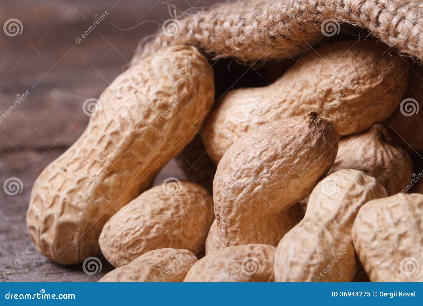 Whole Peanuts in the Shell in a Sack. Macro Stock Image - Image of ...