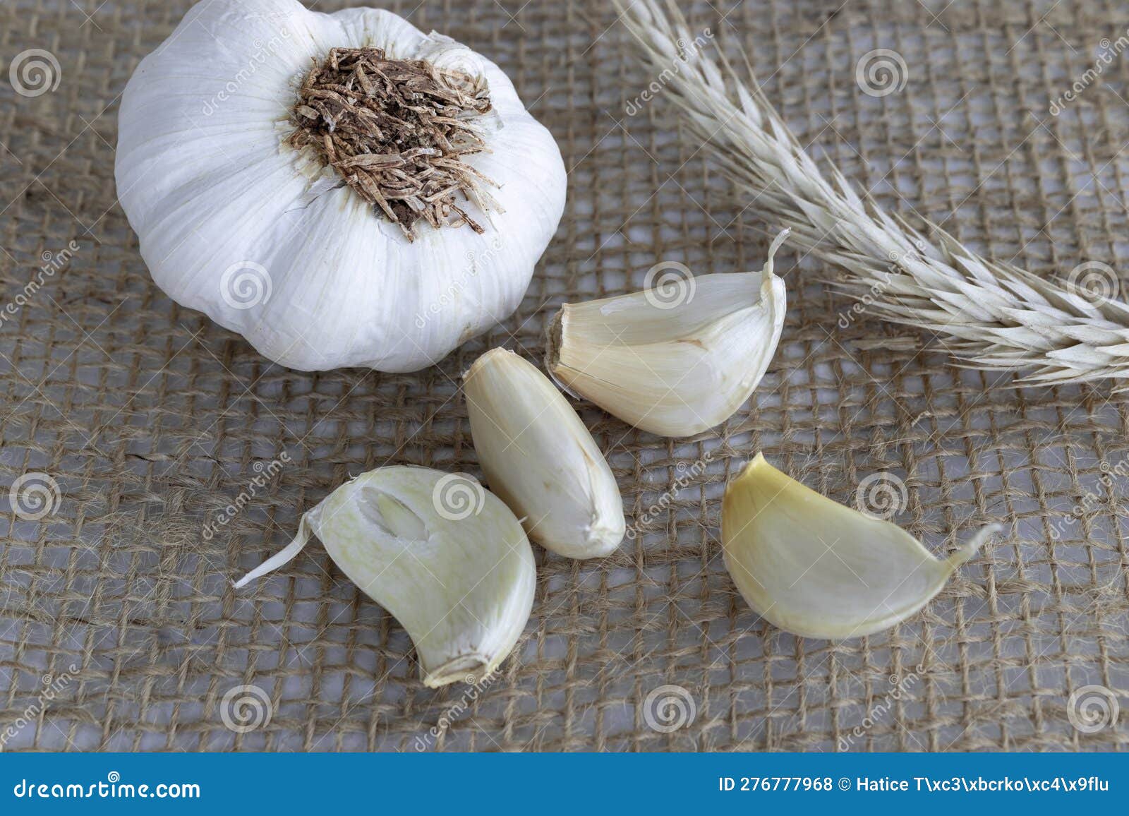 A Whole Piece of Garlic and Small Pieces of Garlic. Close-up Stock ...